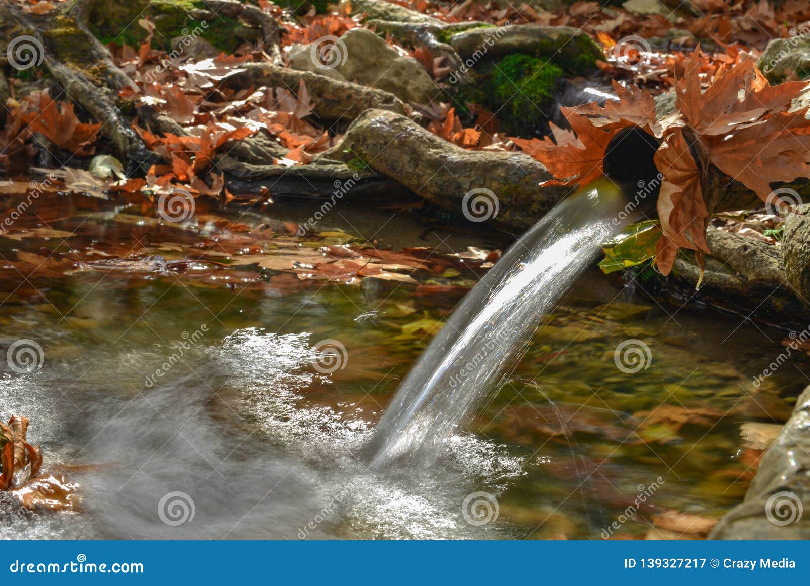 Water Resources and Naturalness in Nature Stock Image - Image of fresh ...