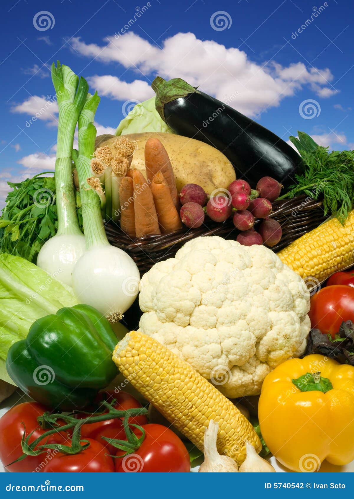 Healthy eating stock photo. Image of vegetarian, onions - 5740542