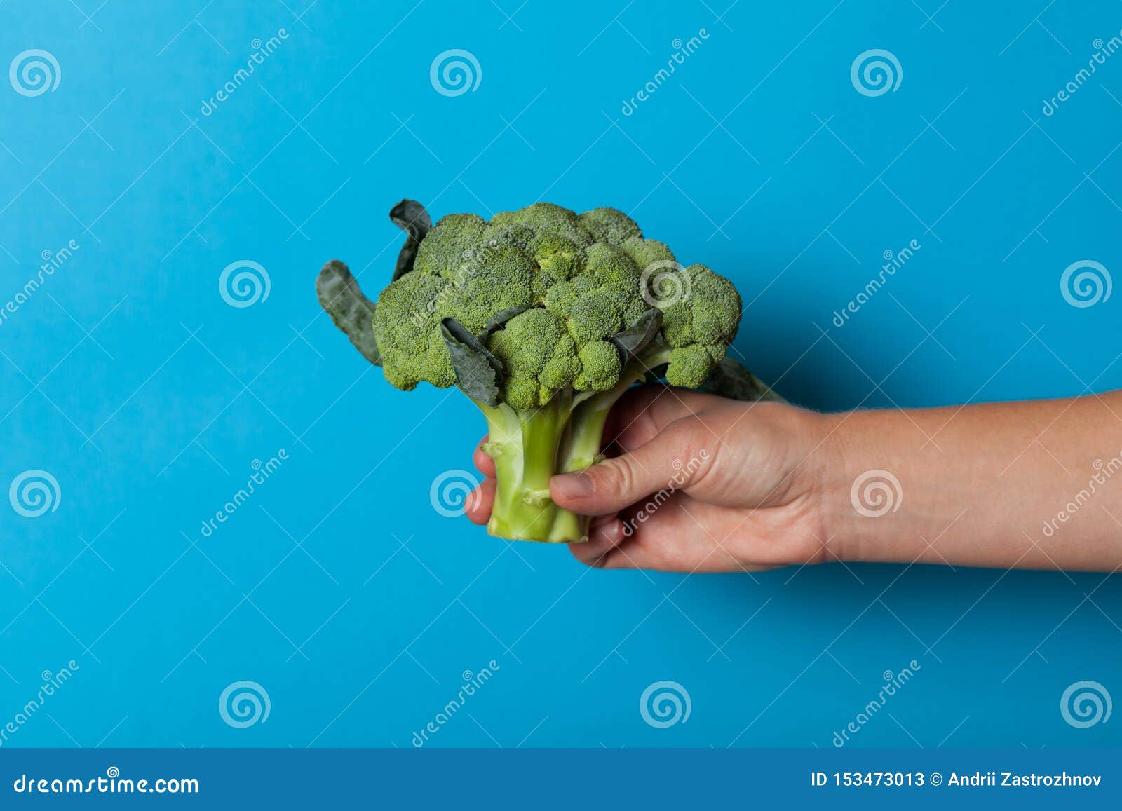 Healthy Eating People, Green Broccoli Plant Stock Image - Image of ...