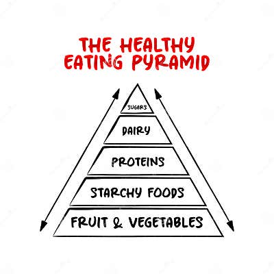 The Healthy Eating Pyramid is Divided into Layers of Differing Sizes ...
