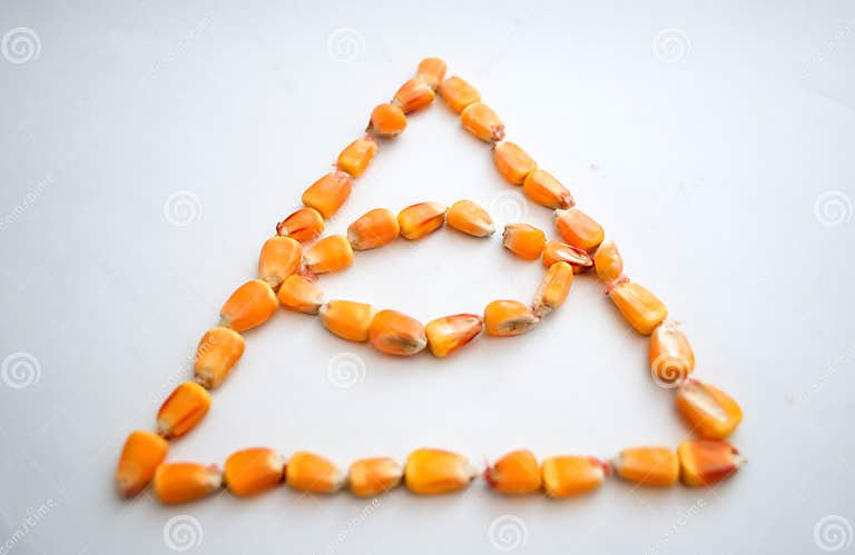 Healthy Ecological Corn in the Form of a Triangle with an Eye on Stock ...