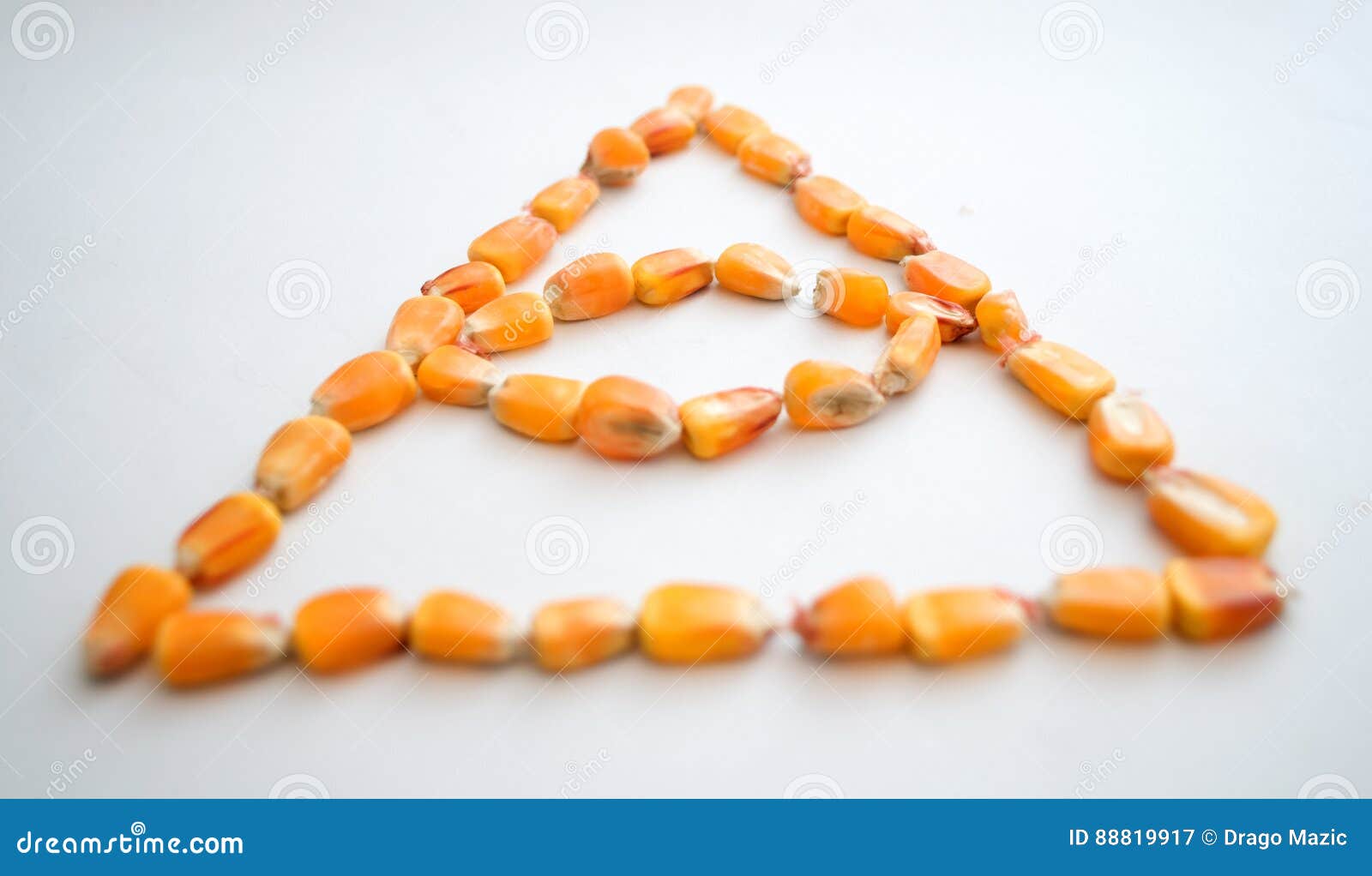 Healthy Ecological Corn in the Form of a Triangle with an Eye on Stock ...