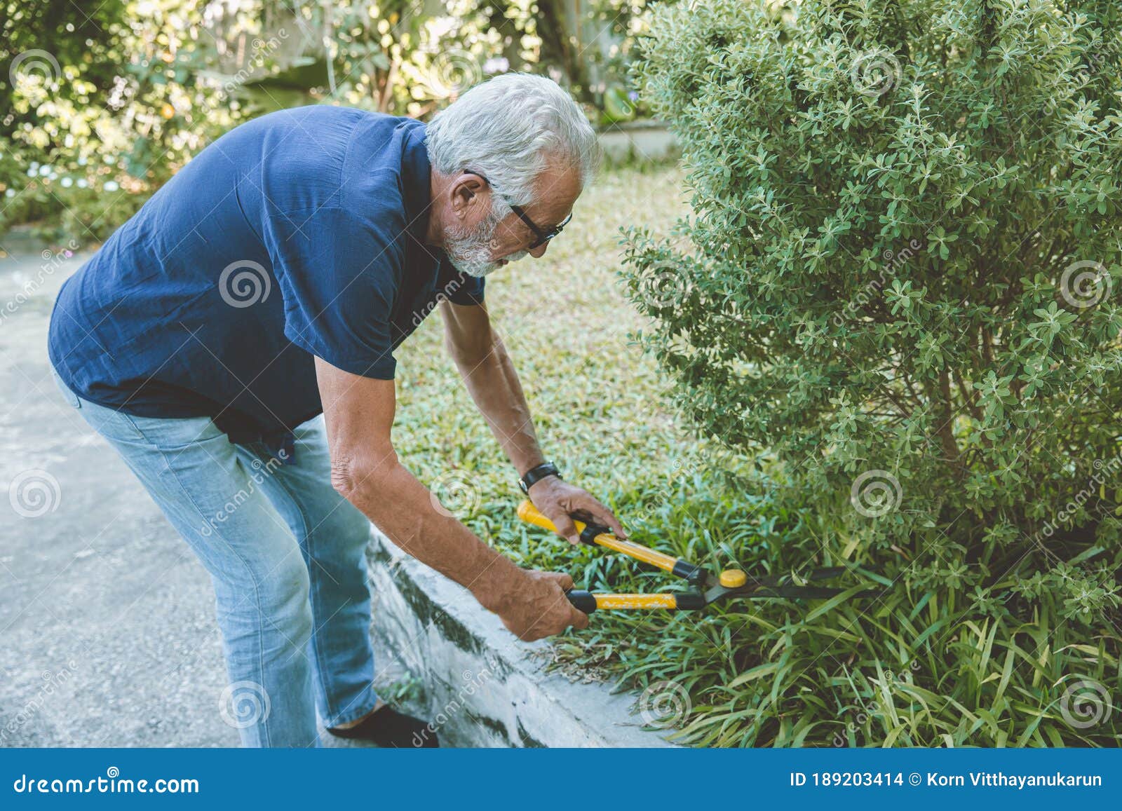 Healthy Elder Bent Back Working at Home Pruning Plants Cut the Bush ...