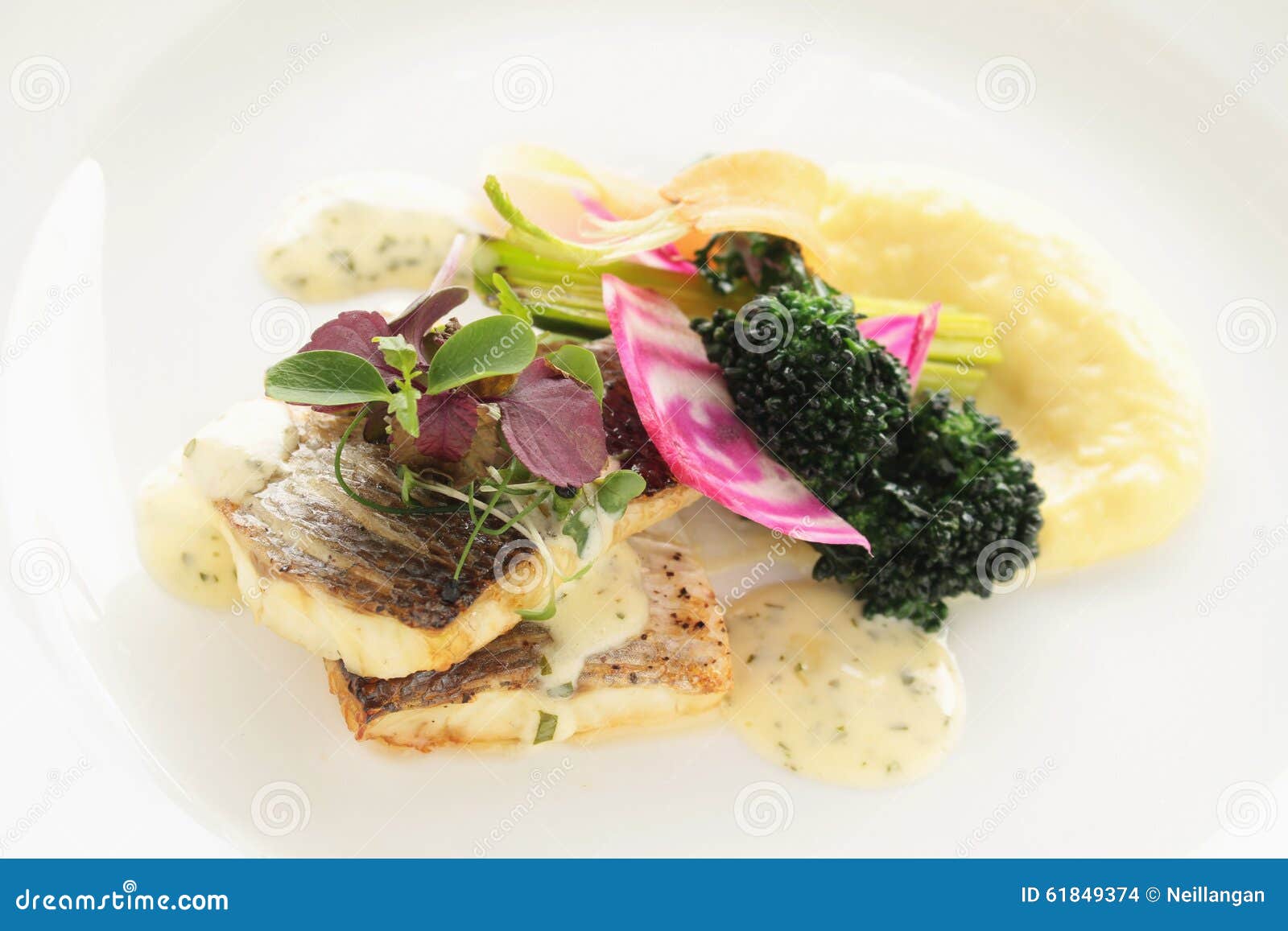 Healthy fish meal stock photo. Image of broccoli, food - 61849374