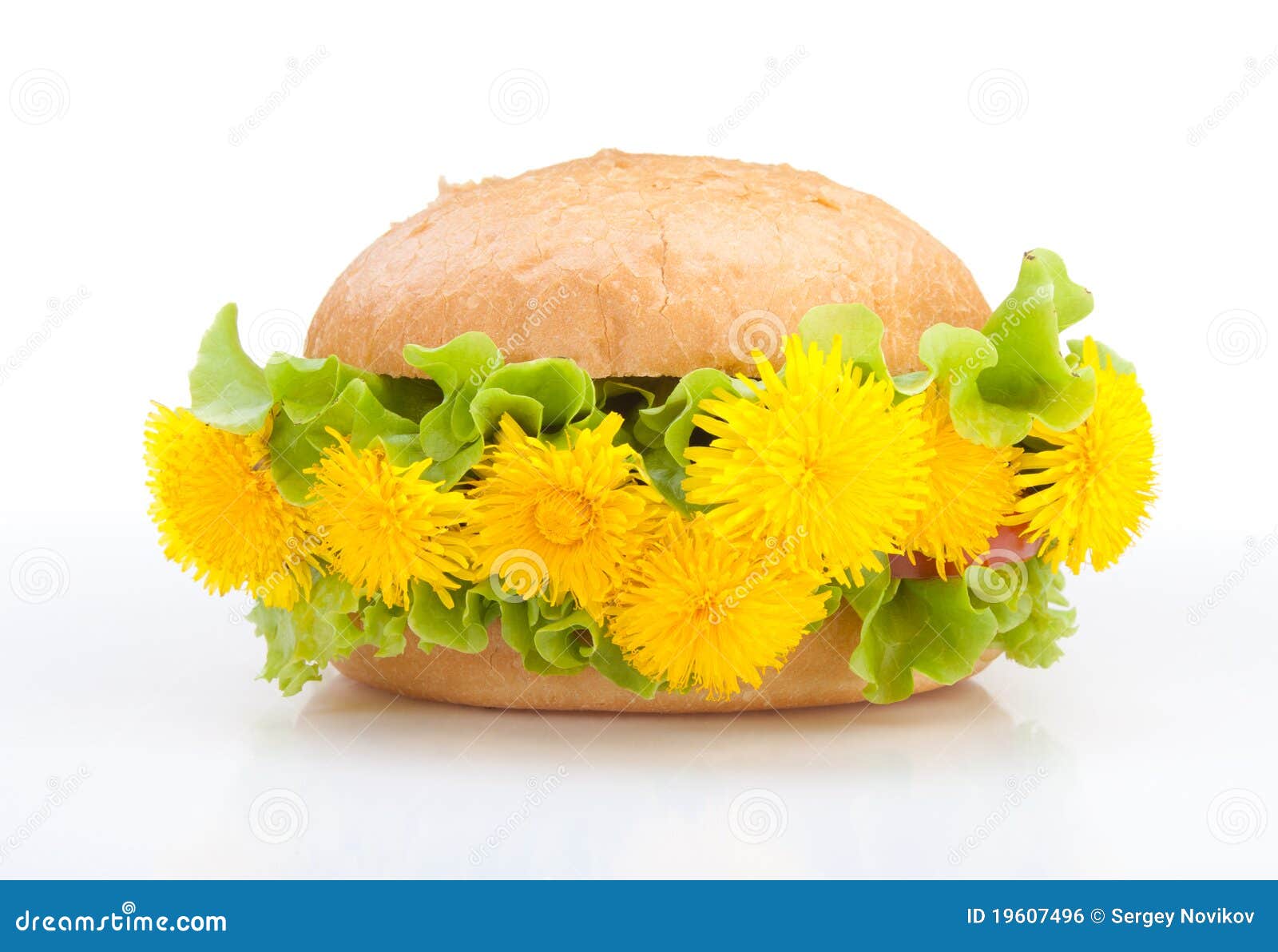 Dandelion Sandwich Stock Photos - Free & Royalty-Free Stock Photos from ...