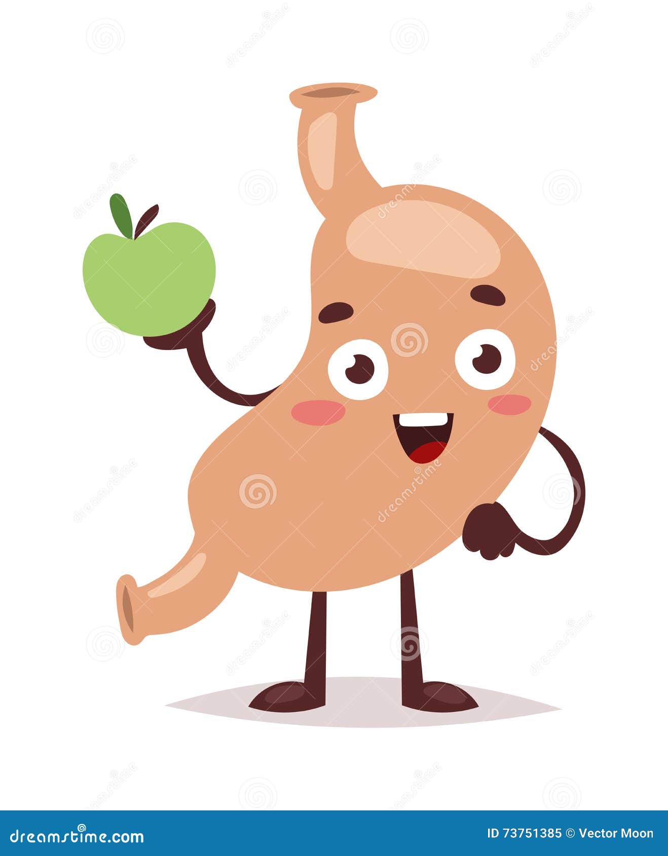 Unhealthy Vs Healthy Food Woman Girl Select Between Junk Food Or