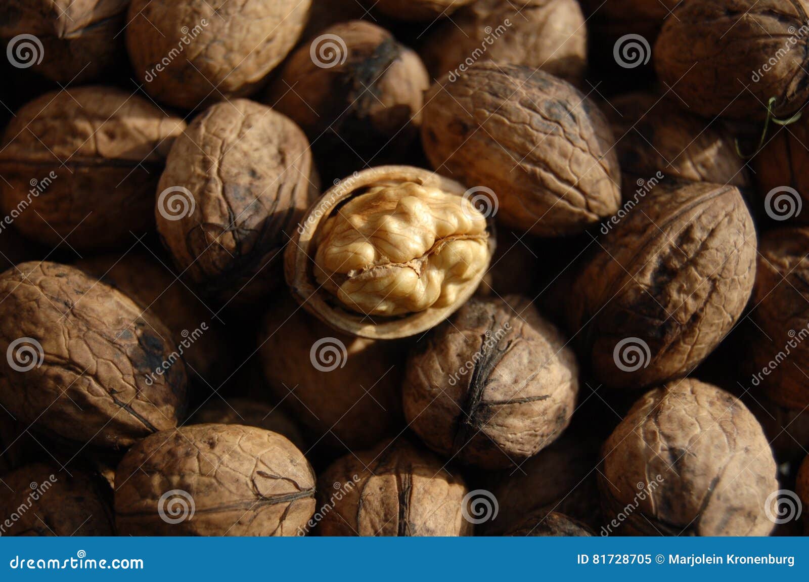 Healthy Food Natural Walnuts Stock Image - Image of waltnuttree, food ...