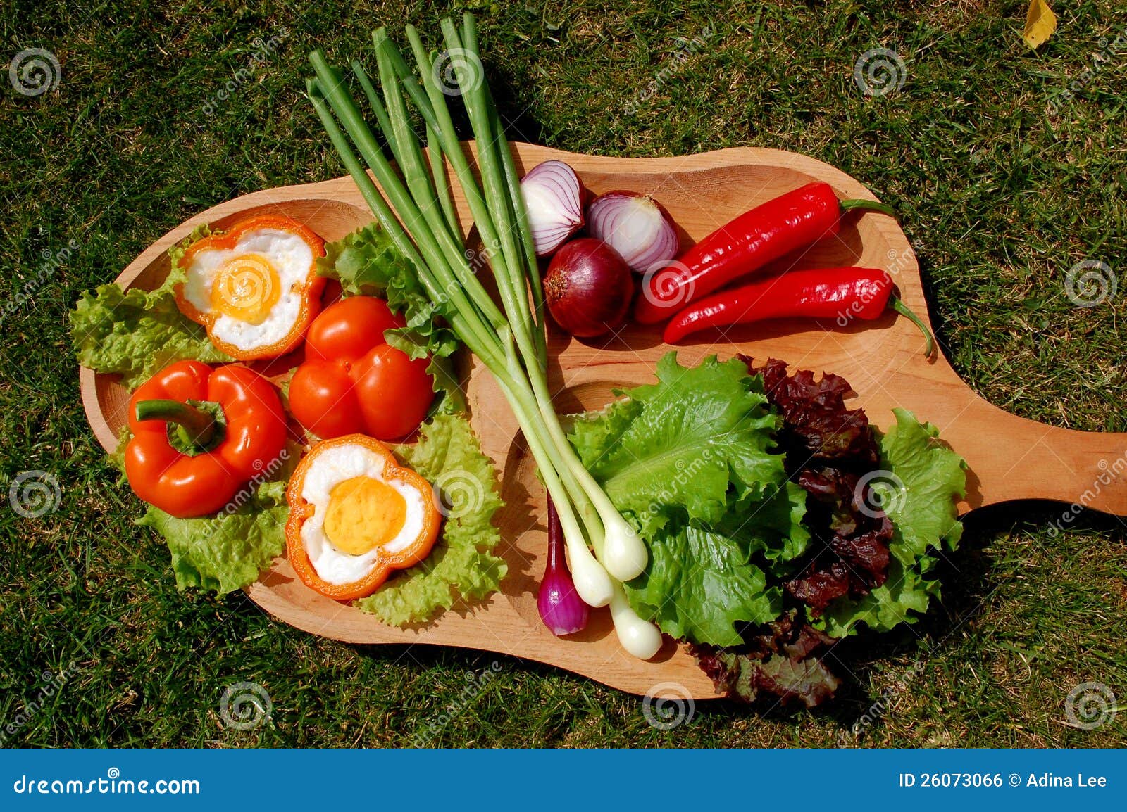 Green Onoin Vegetable Garden Stock Photos - Free & Royalty-Free Stock ...