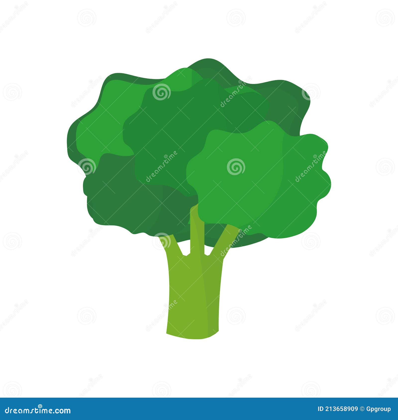 Fresh broccoli icon stock vector. Illustration of eating - 213658909
