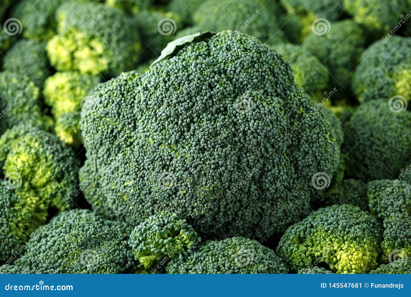 Healthy Fresh Green Raw Broccoli. Background, Texture Stock Image ...