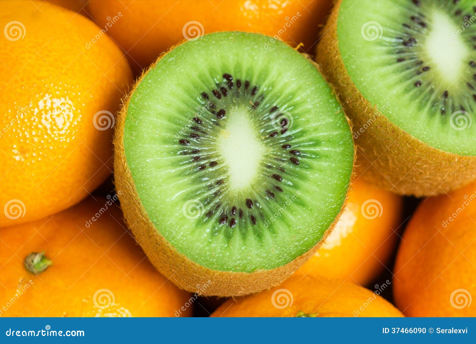 Healthy fresh kiwi stock photo. Image of bright, vegetarian - 37466090