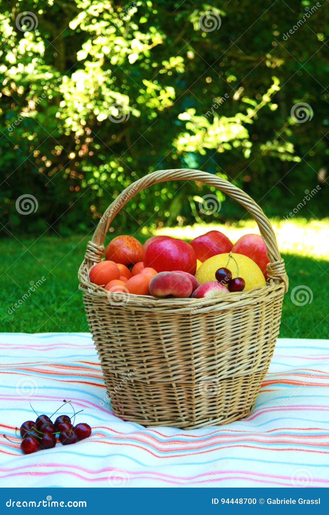 Healthy fruit picnic stock photo. Image of cherry, grass - 94448700