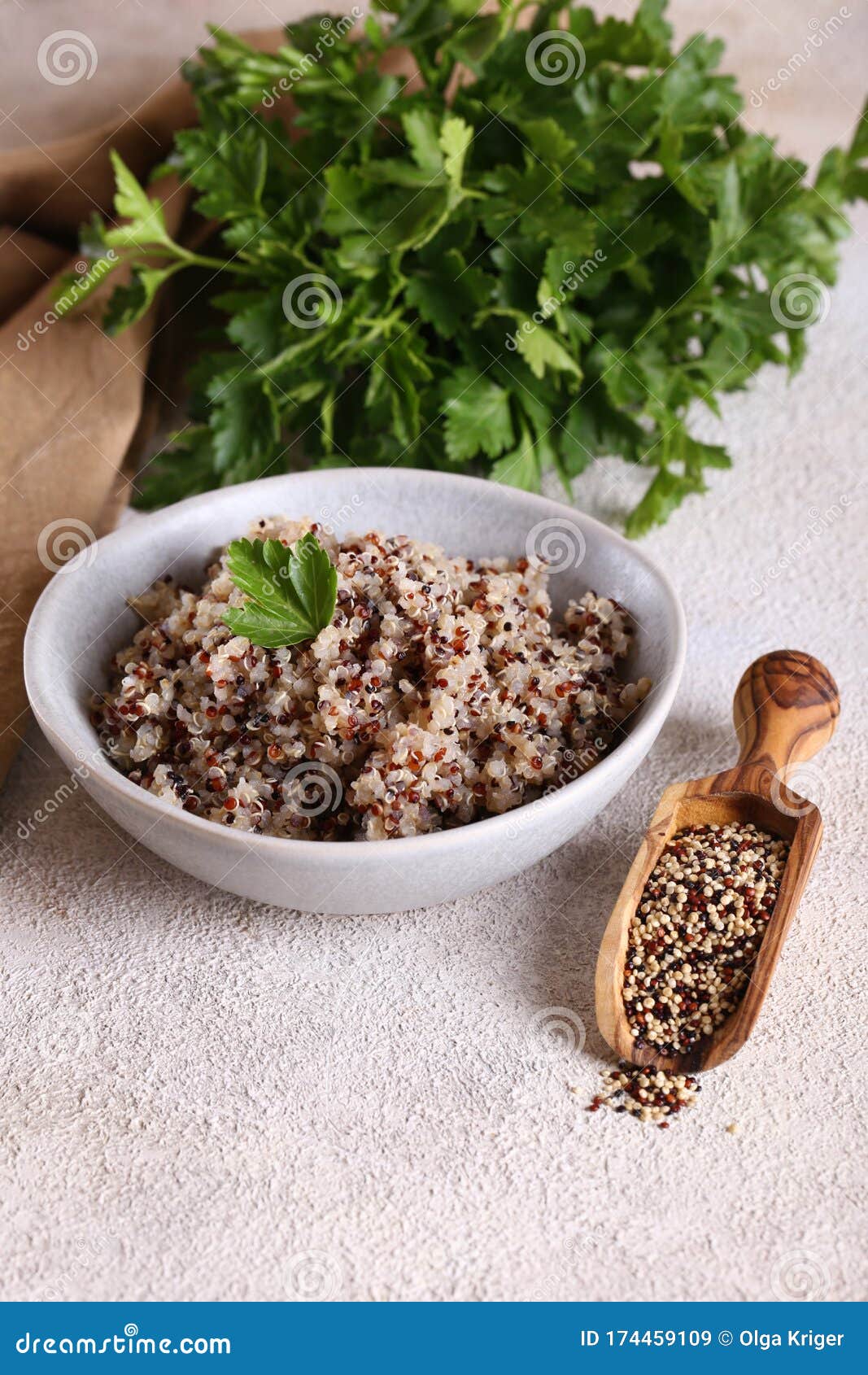 Boiled quinoa stock image. Image of boiled, grain, seeds - 174459109