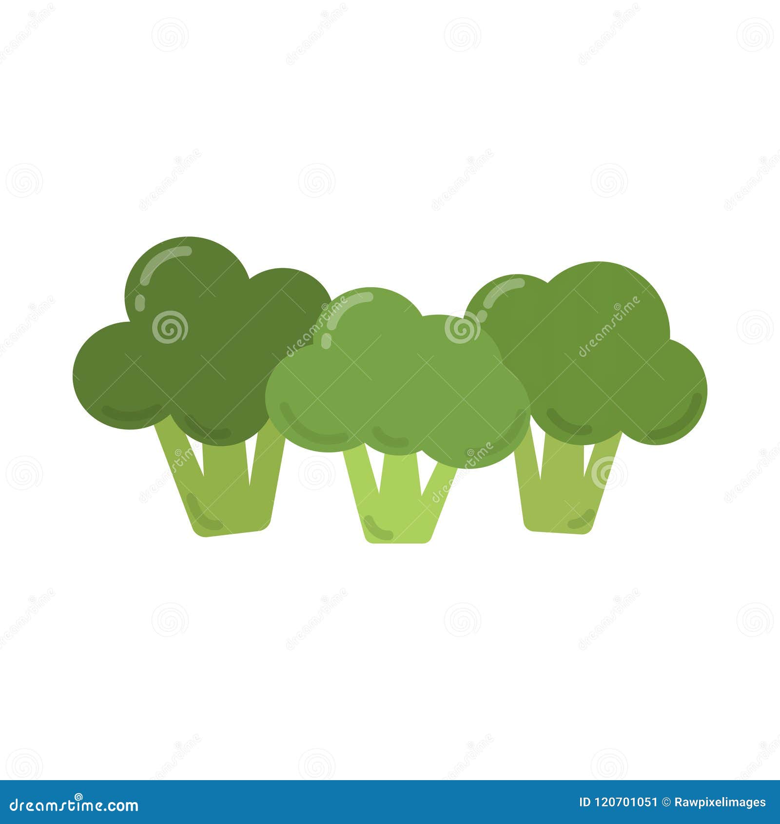 Healthy Green Broccoli Graphic Illustration Stock Vector - Illustration ...