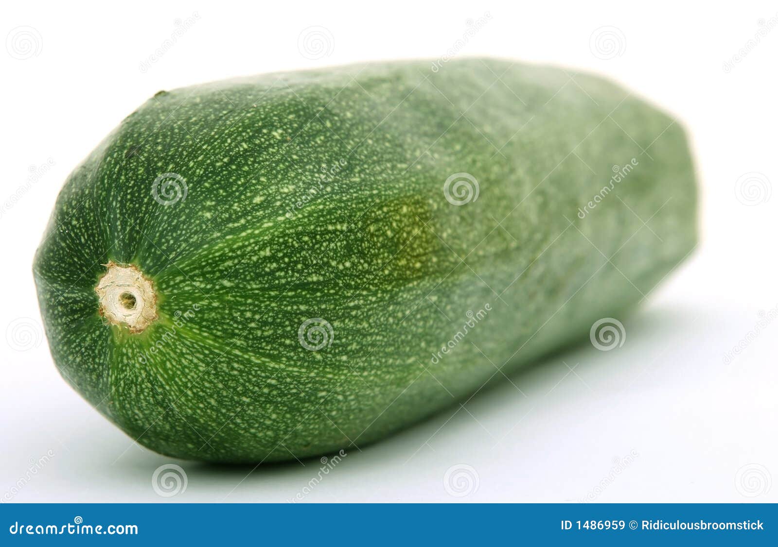 Healthy Green Courgette Vegetable Isolated on White Stock Image - Image ...