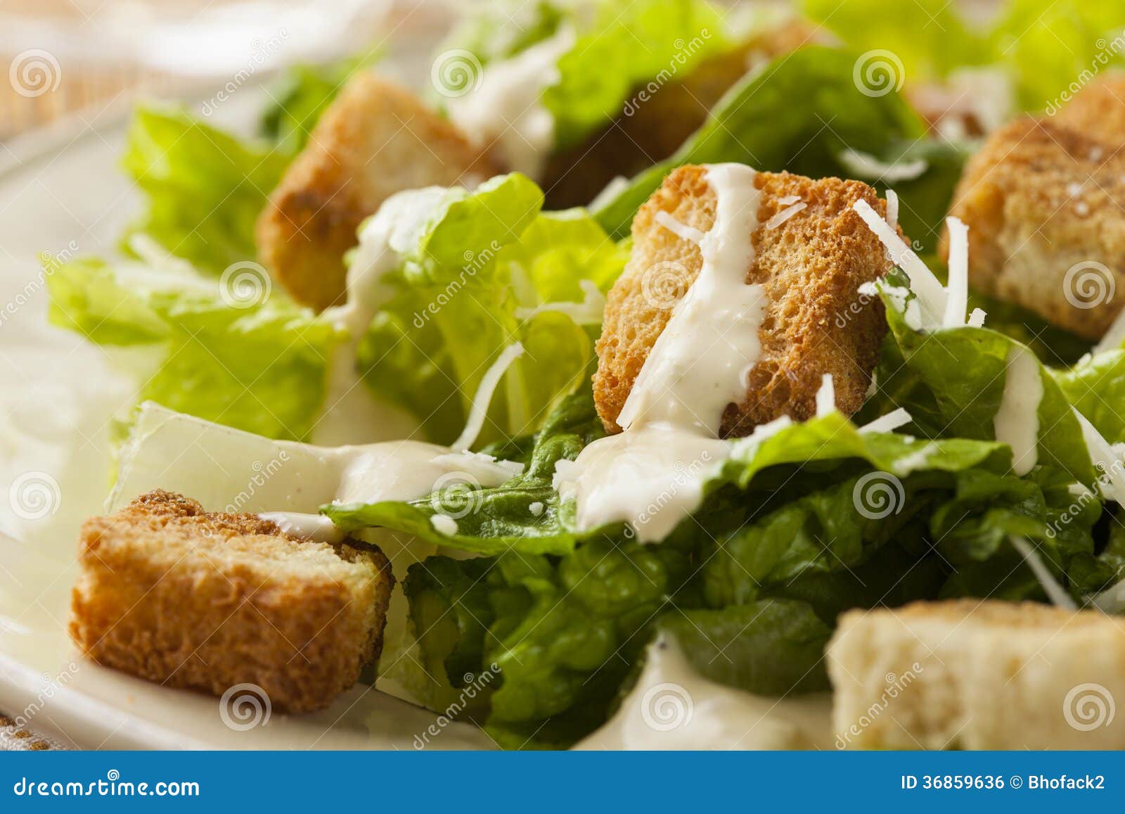 Healthy Green Organic Caesar Salad Stock Photo - Image of plate, leaf ...