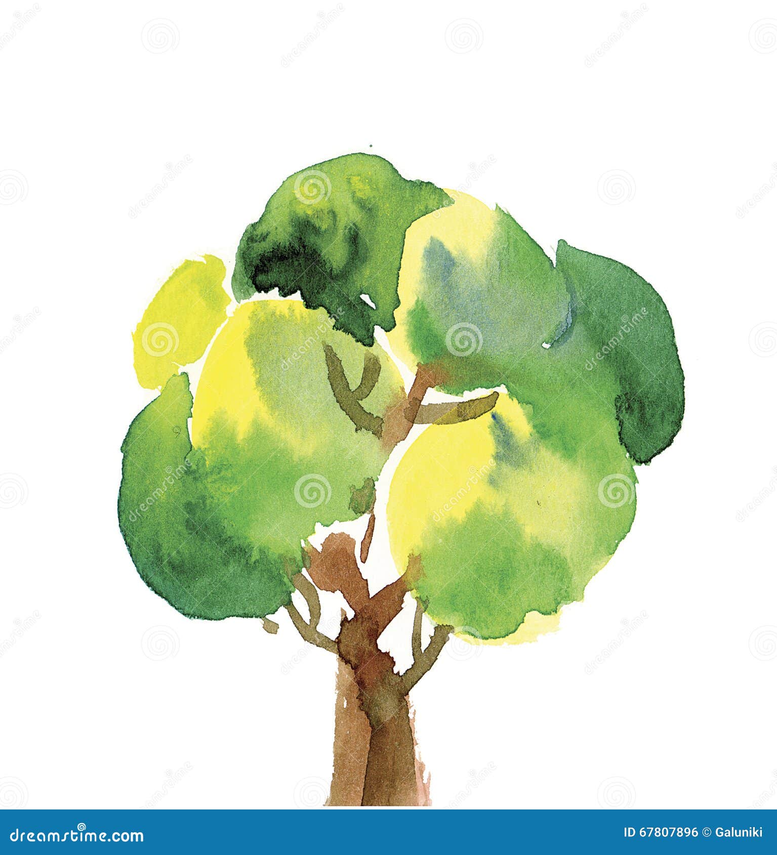 Healthy Green Tree Watercolor Stock Illustration - Illustration of ...