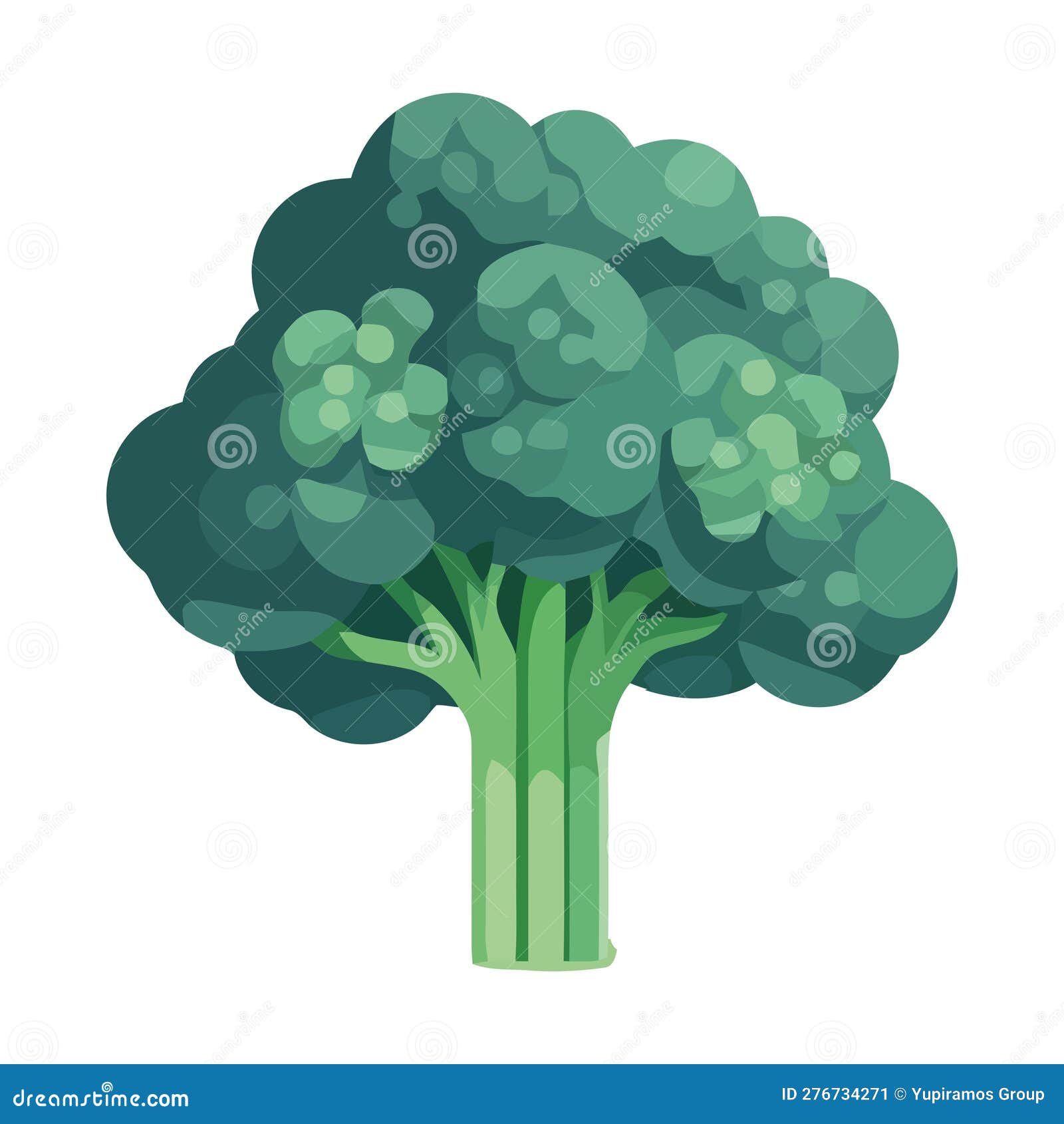 Healthy Green Vegetable Broccoli Stock Vector - Illustration of vector ...