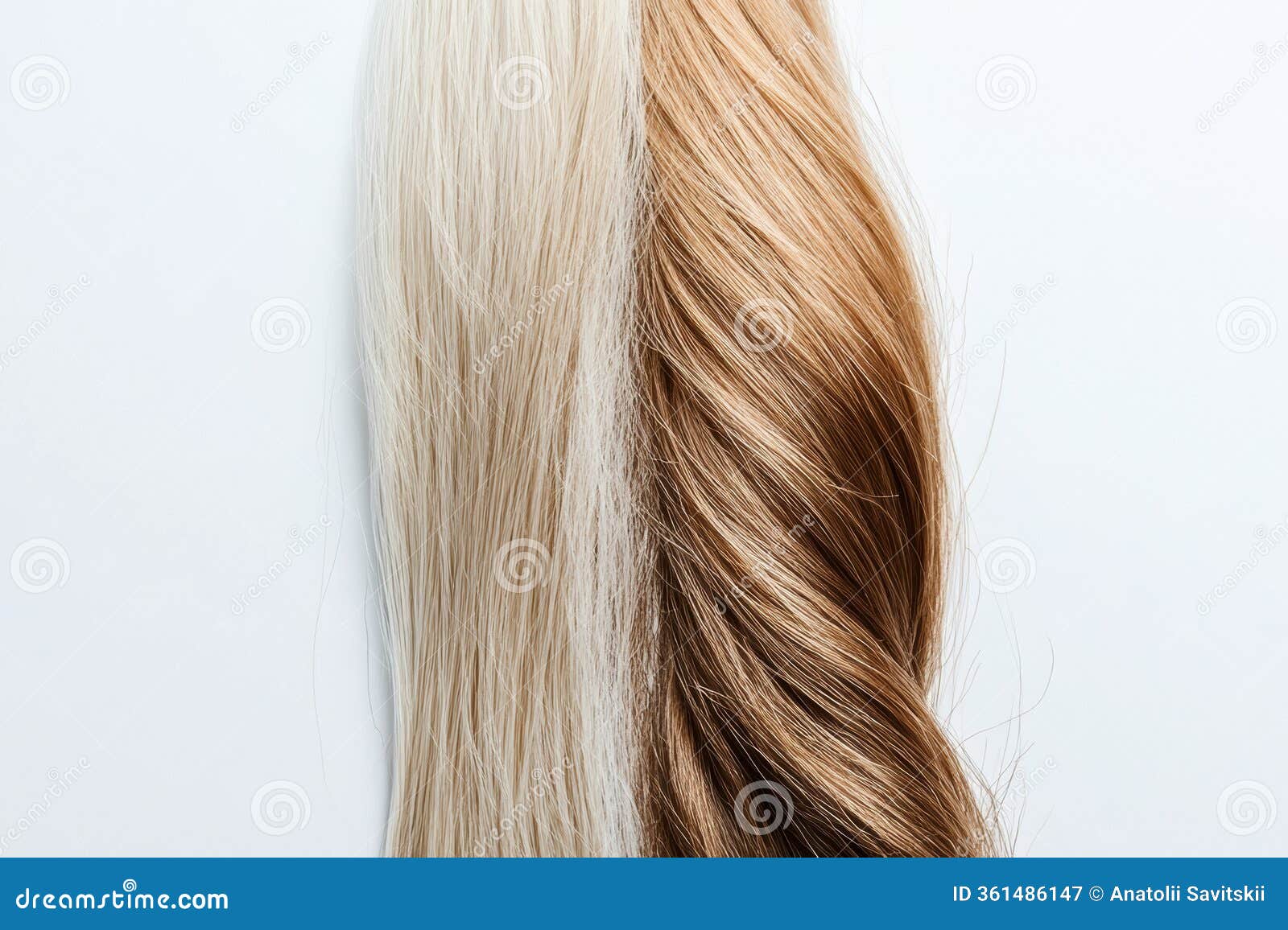 Healthy Hair Versus Damaged Hair Comparison Showcasing Texture and ...