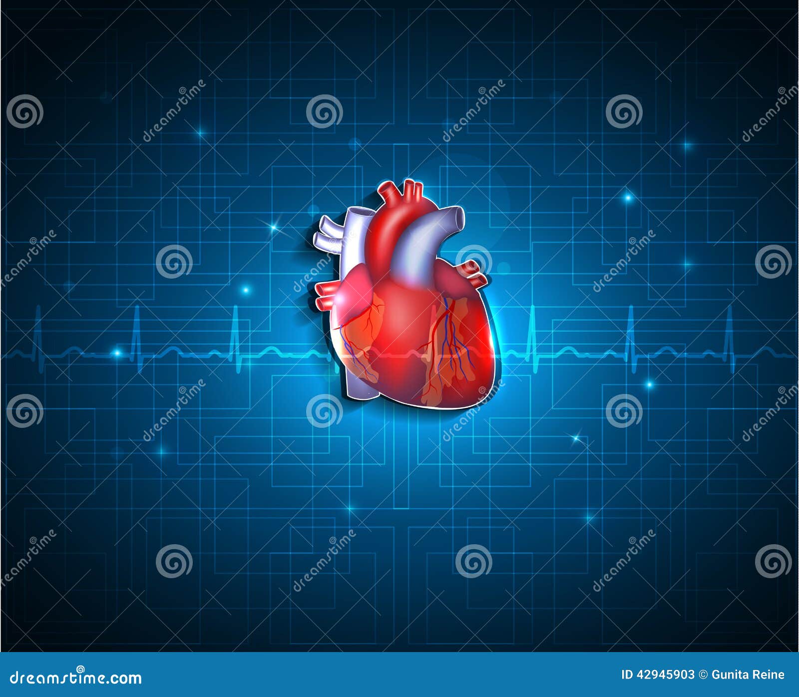 Healthy Heart on a Blue Technology Background Stock Vector ...