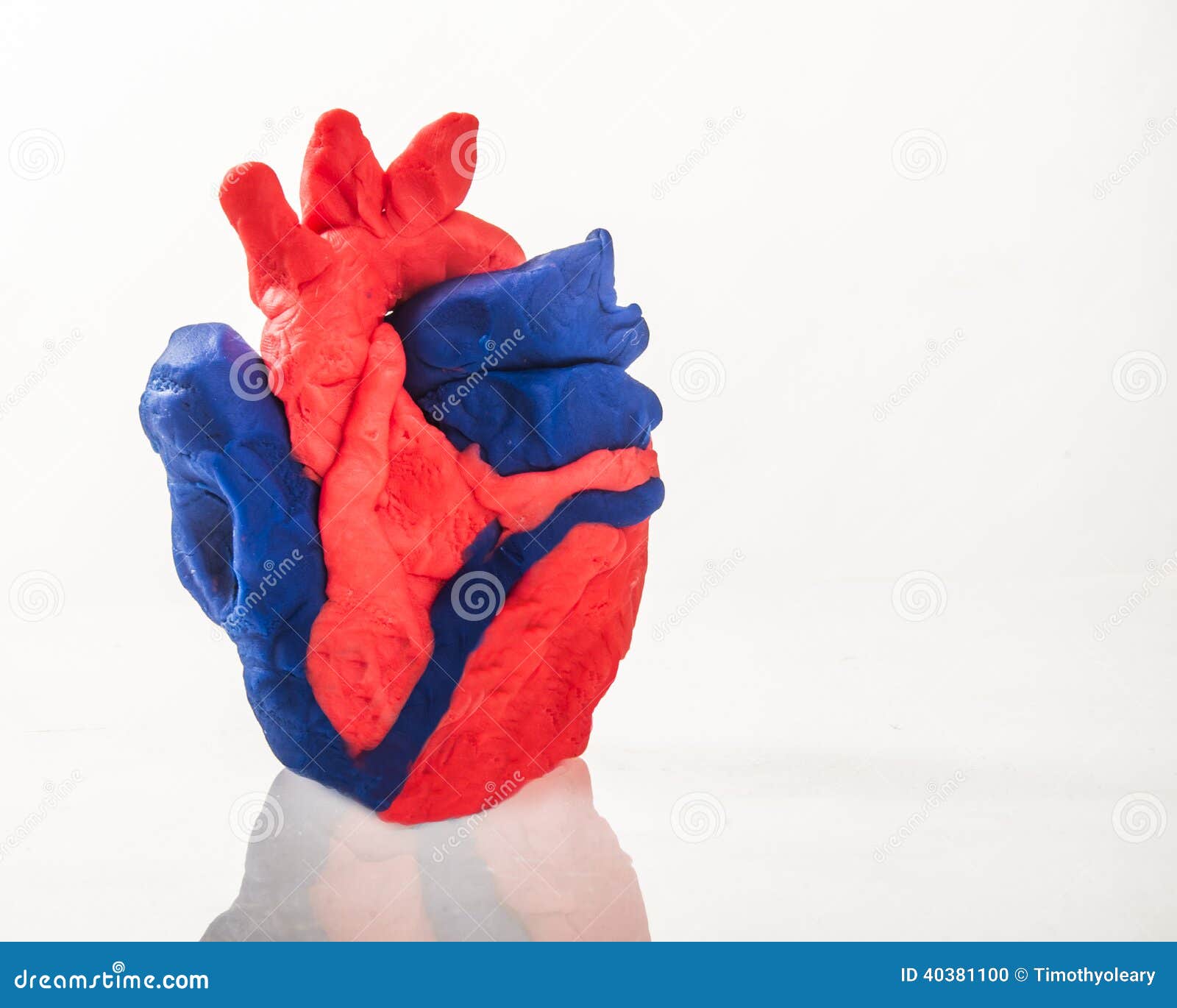 Healthy Heart stock photo. Image of concept, health, fitness - 40381100