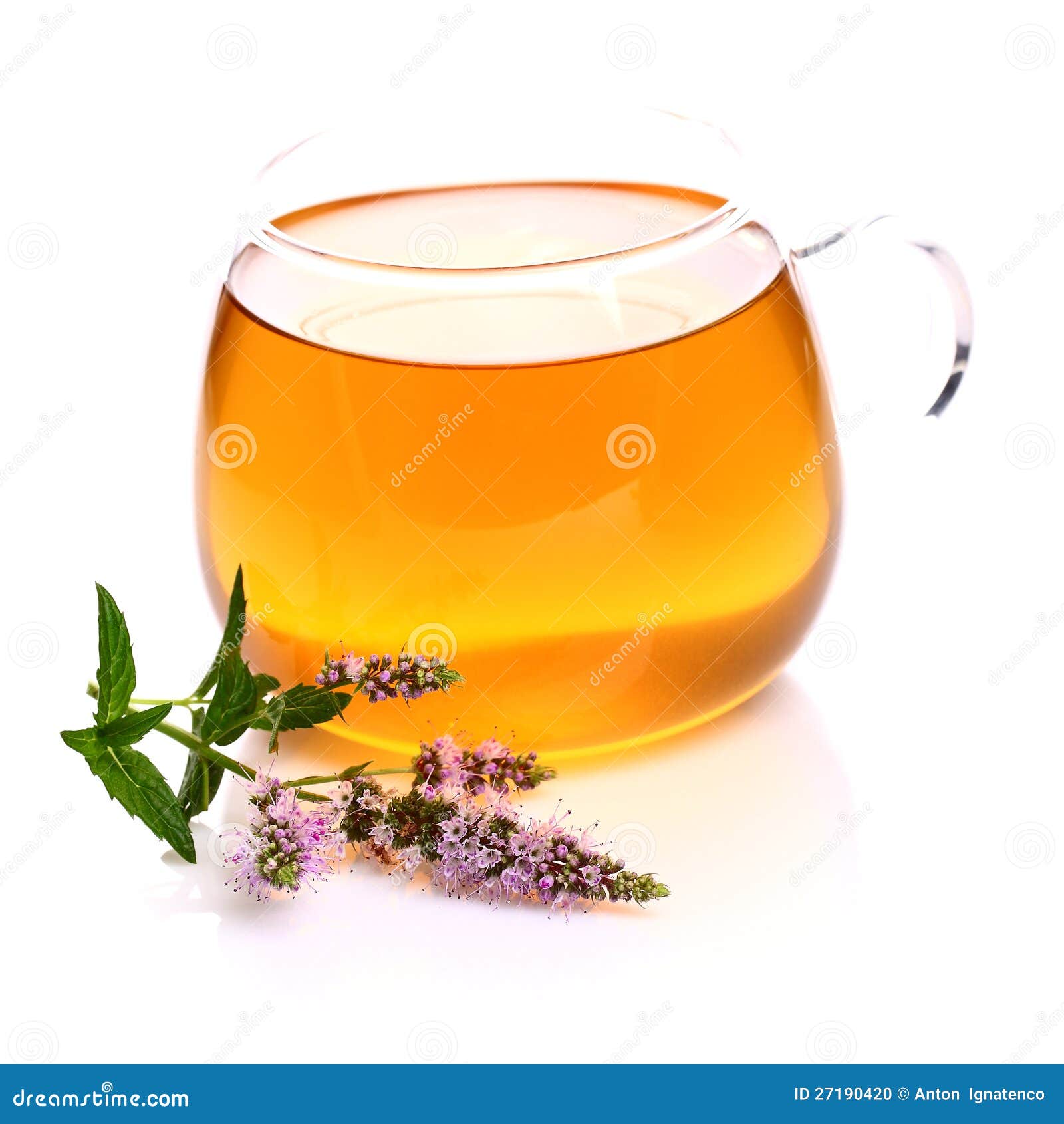 Healthy herbal tea stock photo. Image of bloom, healthy - 27190420