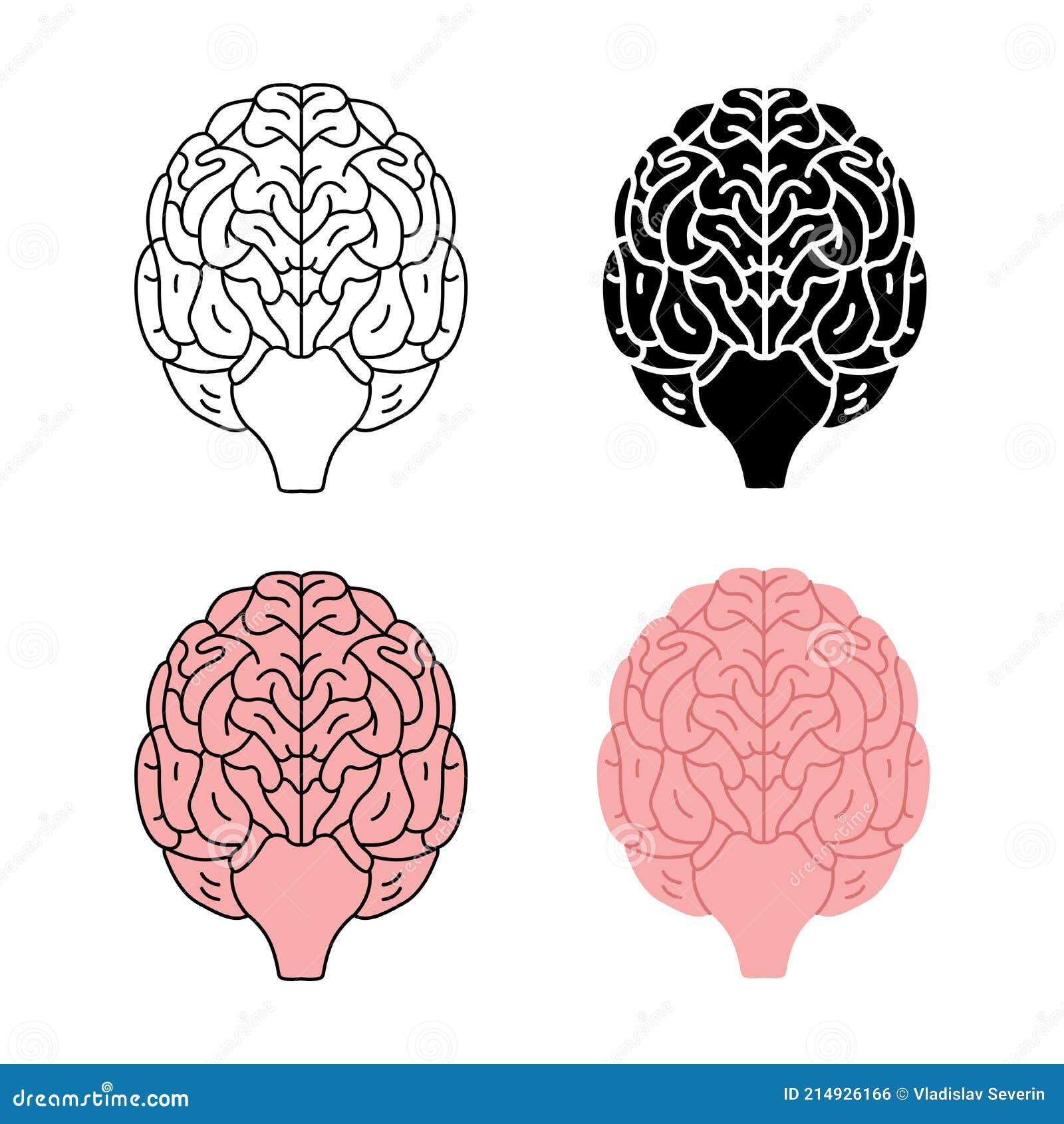 Healthy Human Brain Front View Vector Illustration Stock Vector ... Healthy Human Brain Front View Vector Illustration Stock Vector ...