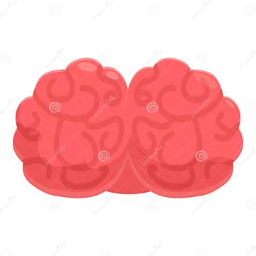 Healthy Human Brain Representing Intelligence and Memory Stock Vector ...