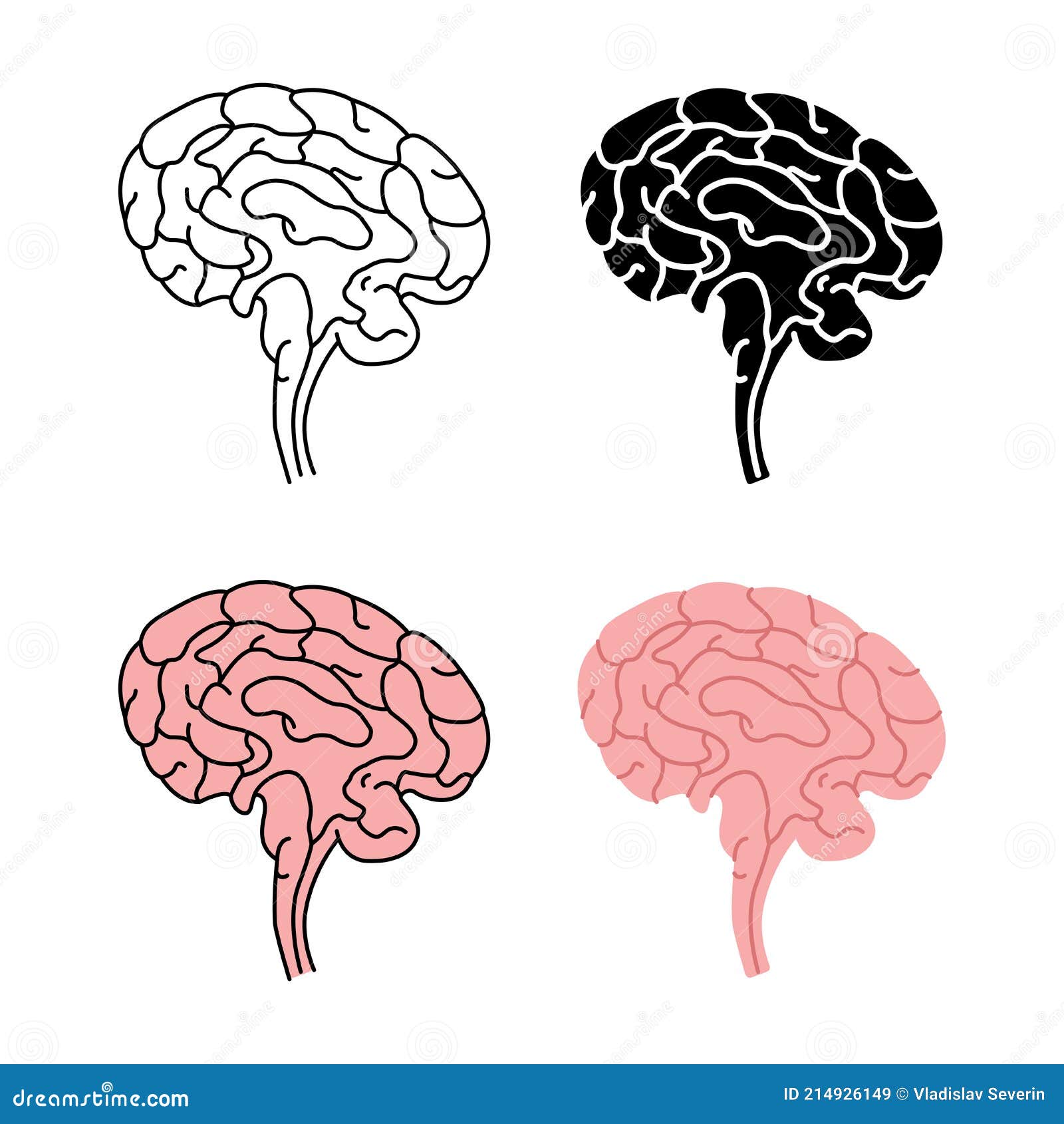 Healthy Human Brain Side View Stock Vector - Illustration of cerebrum ...