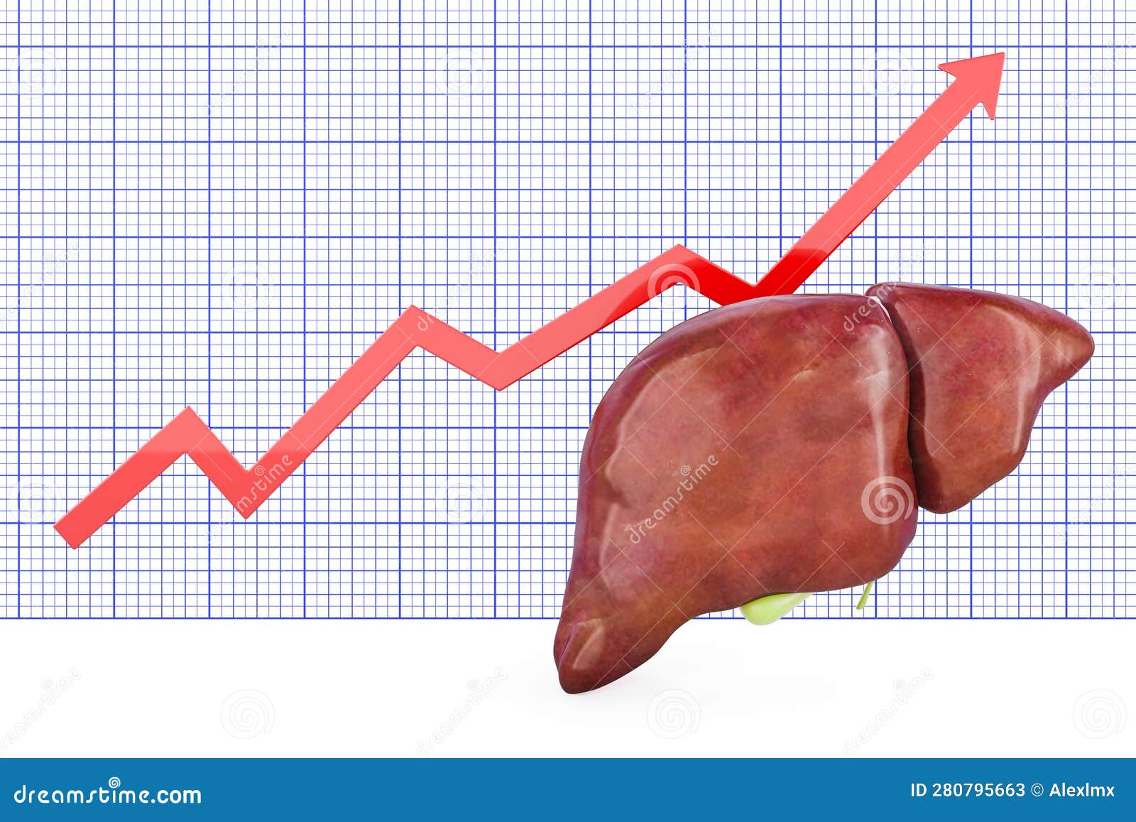 Healthy Human Liver with Gallbladder with Growing Chart, 3D Rendering ...