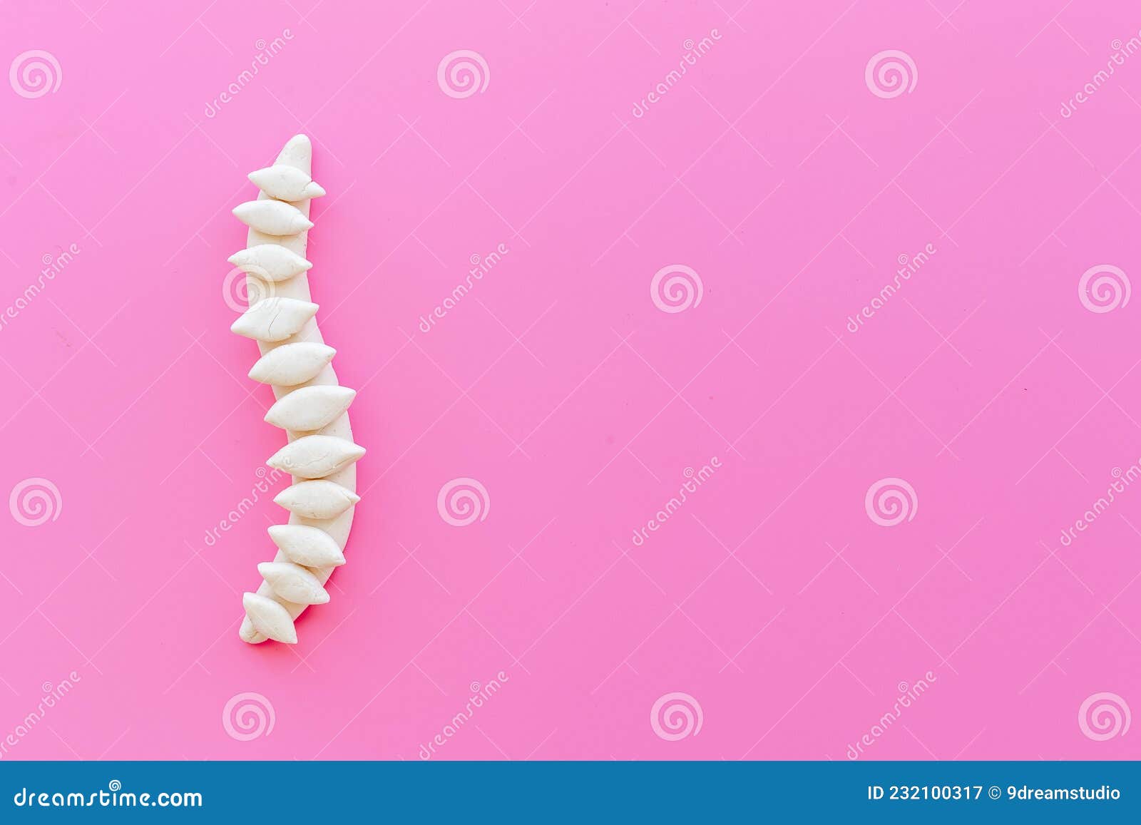 Healthy Human Spinal Column Skeleton Model. Top View Stock Image ...