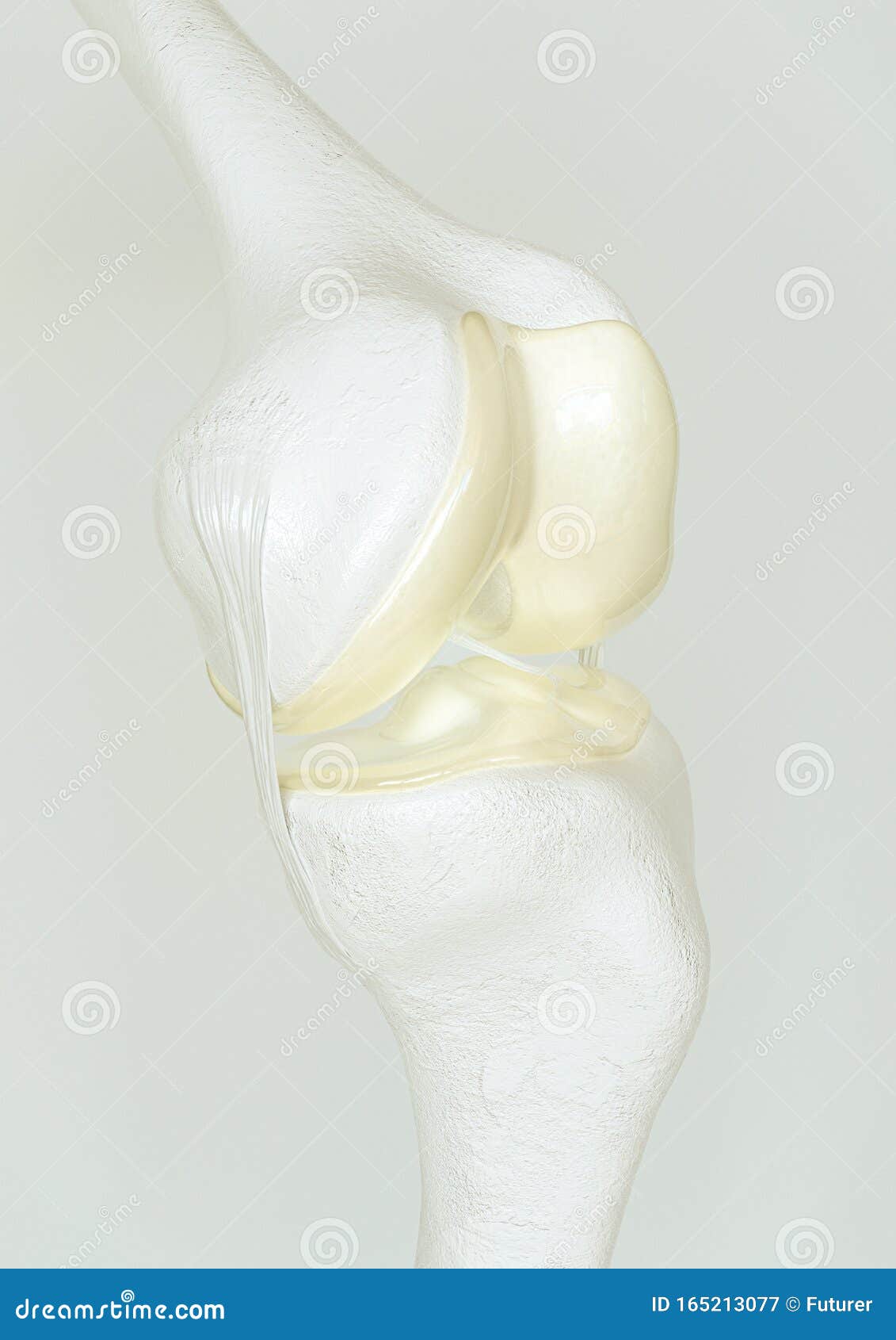 CT Knee 3D Rendering Image Lateral View Isolated On Black Background ...