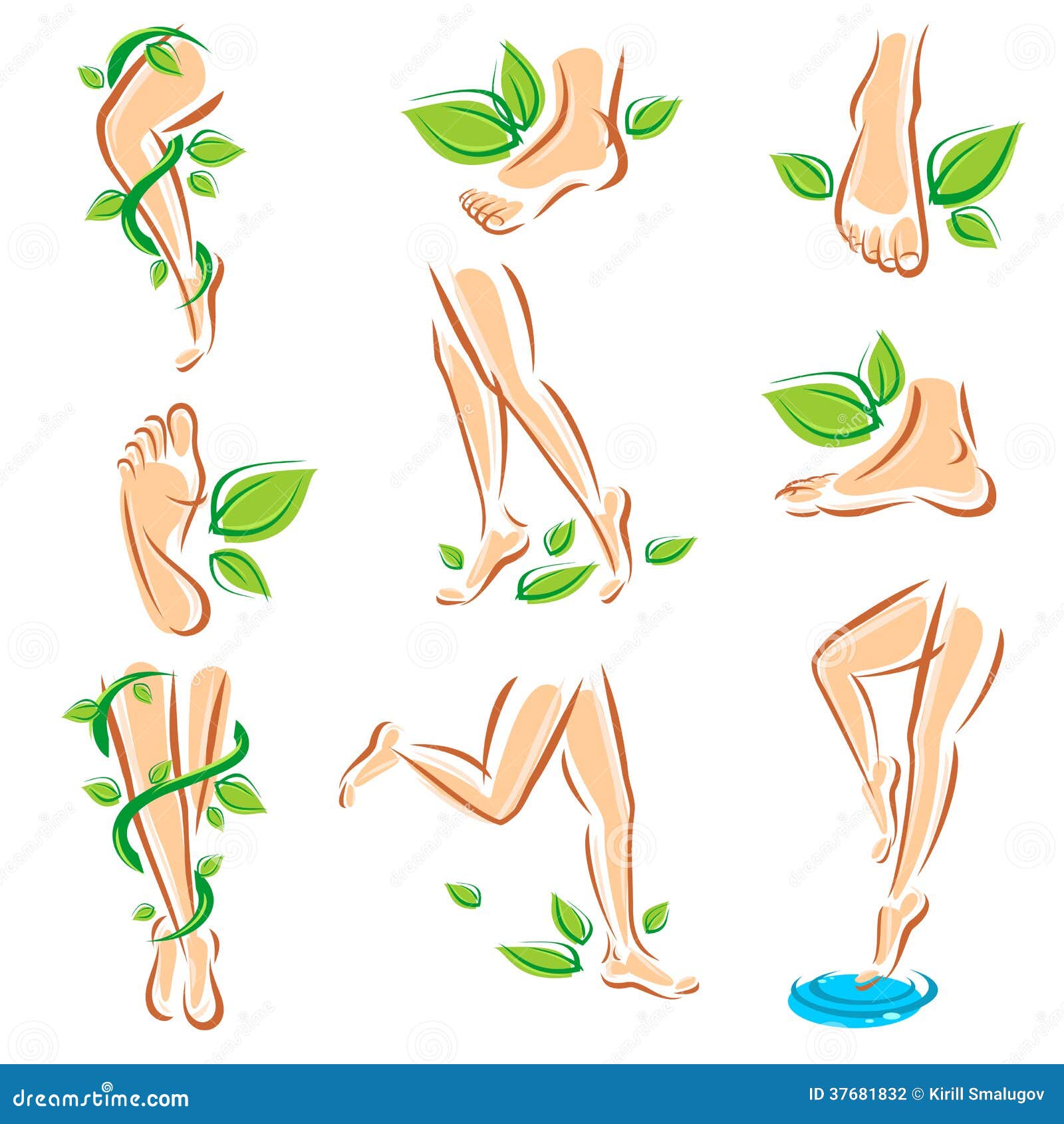Healthy legs set. Vector stock vector. Illustration of concept - 37681832