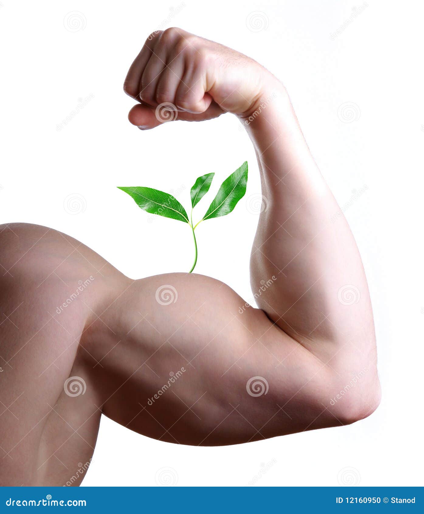 Healthy life stock photo. Image of healthy, power, health - 12160950