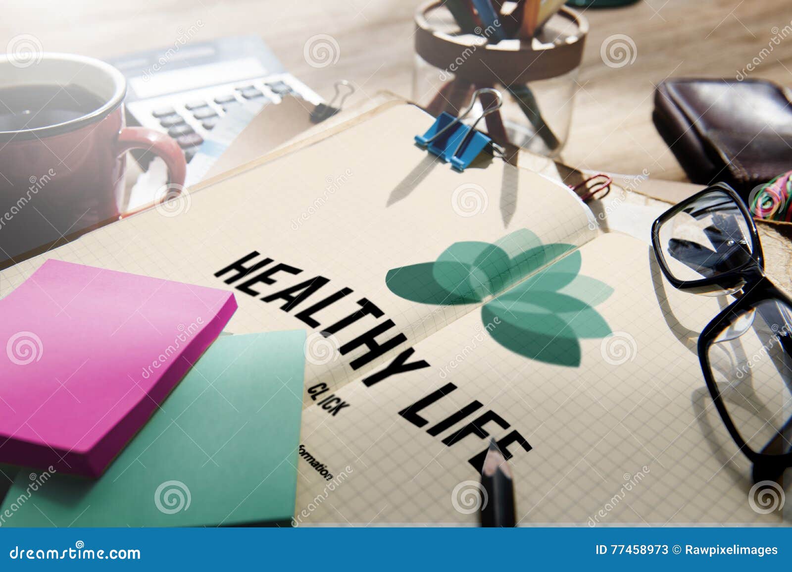 Healthy Life Vitality Physical Nutrition Personal Development Co Stock ...