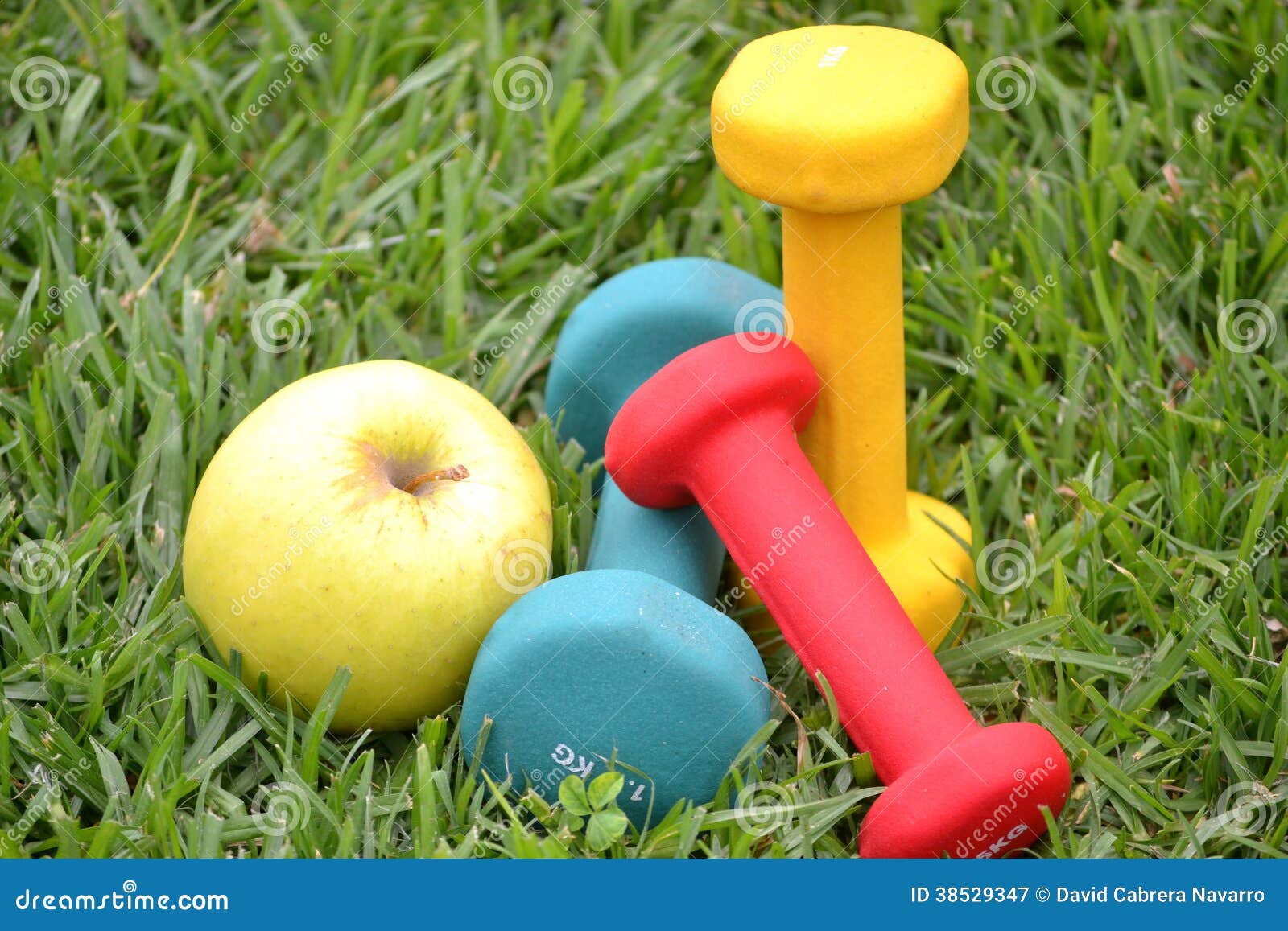 Healthy life stock image. Image of equipment, exercise - 38529347