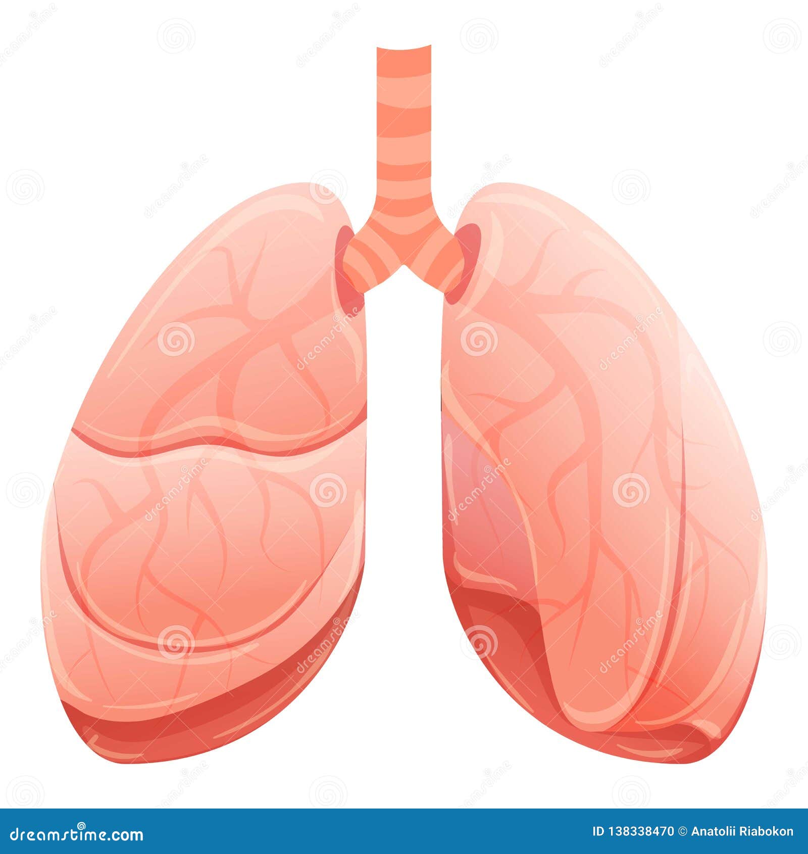 Healthy Lungs Icon, Cartoon Style Stock Vector - Illustration of ... Healthy Lungs Icon, Cartoon Style Stock Vector - Illustration of ...