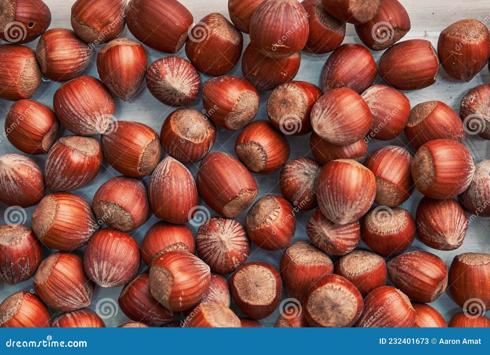 Healthy natural hazelnuts stock image. Image of ingredient - 232401673