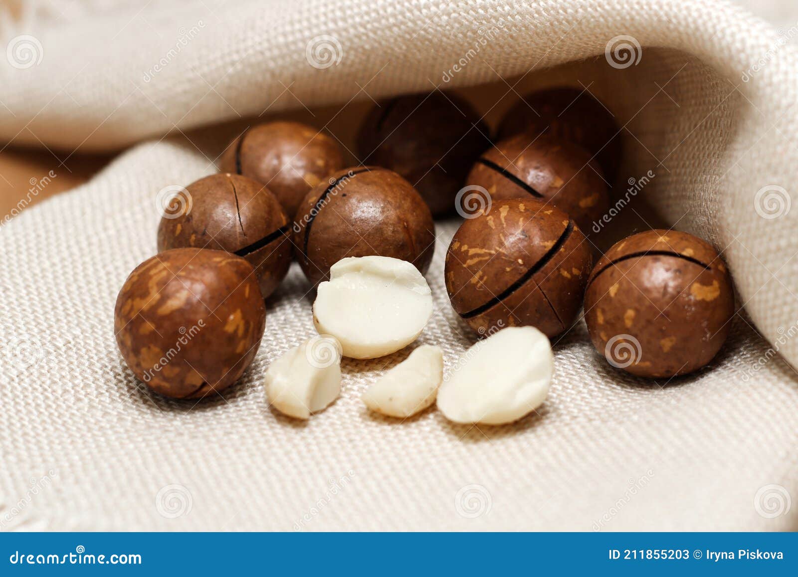 Healthy Organic Inshell Macadamia Nuts and Kernel Nuts. an Expensive ...