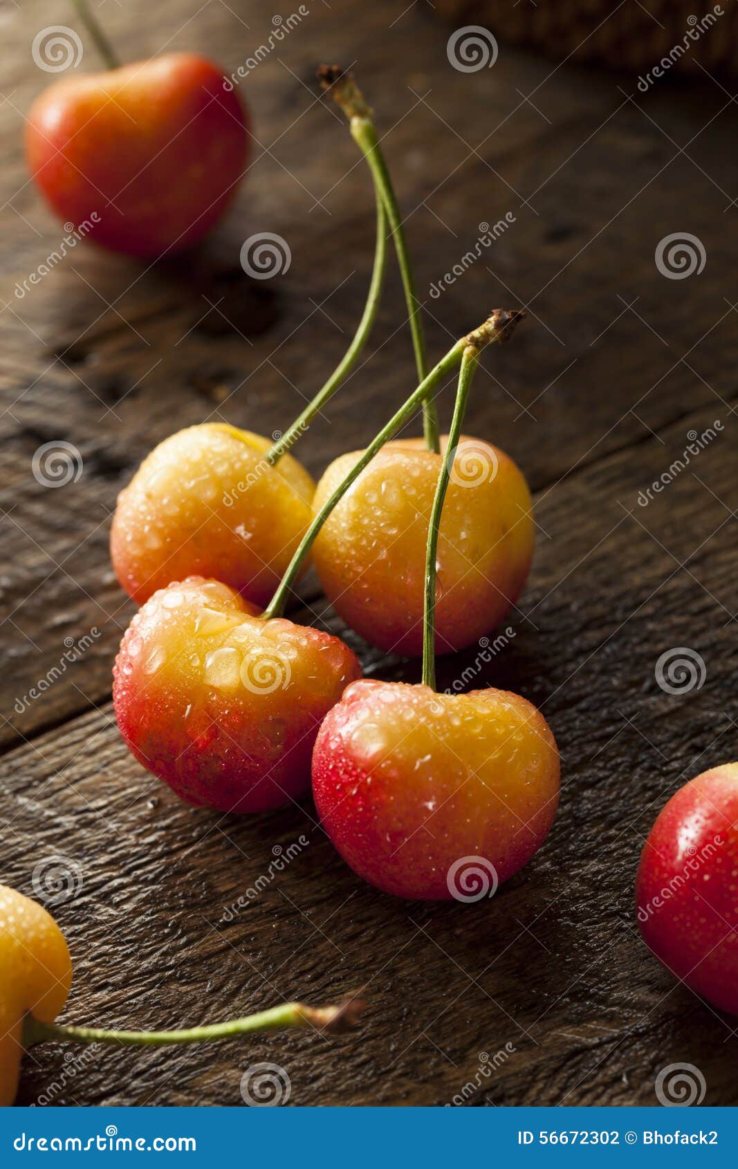 Healthy Organic Rainier Cherries Stock Photo - Image of summer, berry ...
