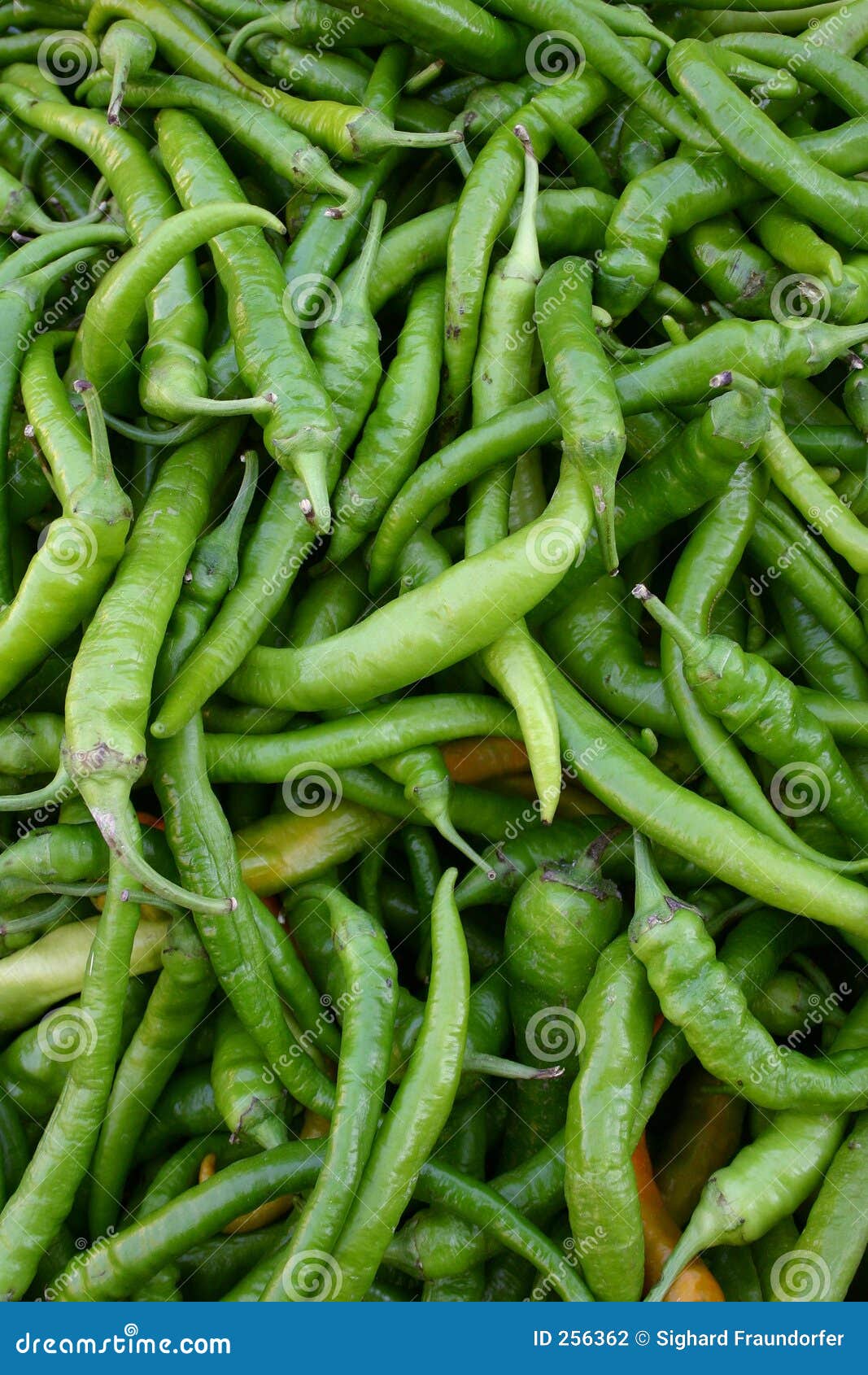 Healthy peppers stock photo. Image of kitchen, pepper, spice - 256362