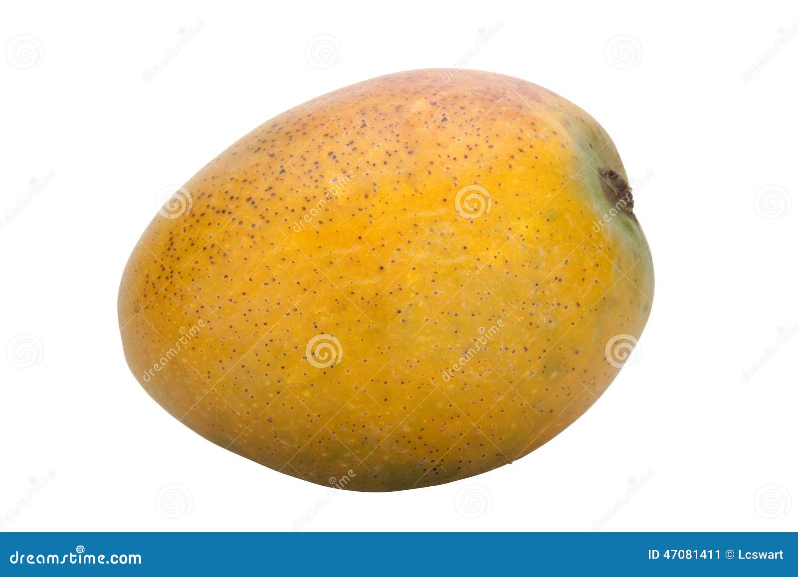 Healthy Ripe Yellow Mango with Speckled Skin Stock Image - Image of ...