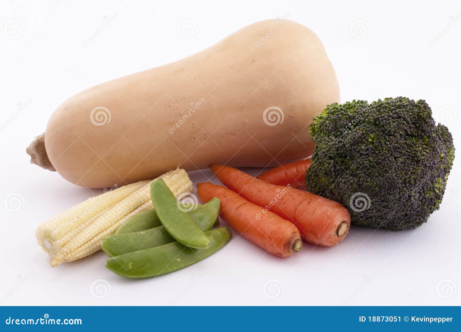 Healthy Root and Plant Veg stock image. Image of beige - 18873051