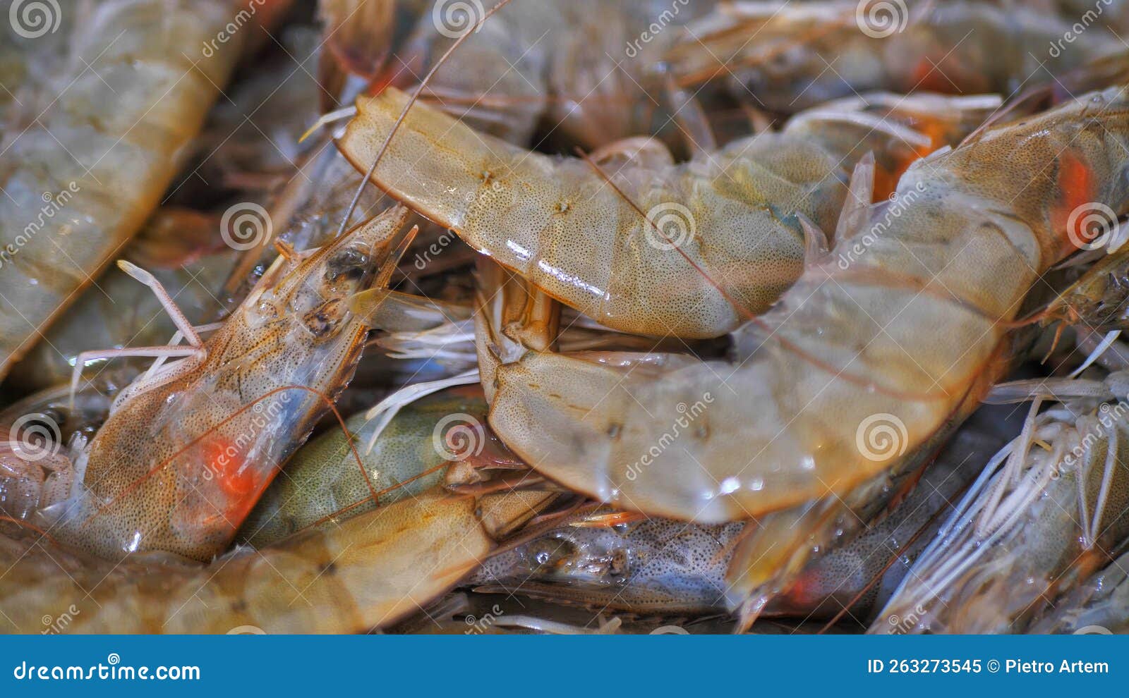 Healthy Seafood, Fresh Shrimp, Fish, Macro. Lots of Shrimp are Spinning ...