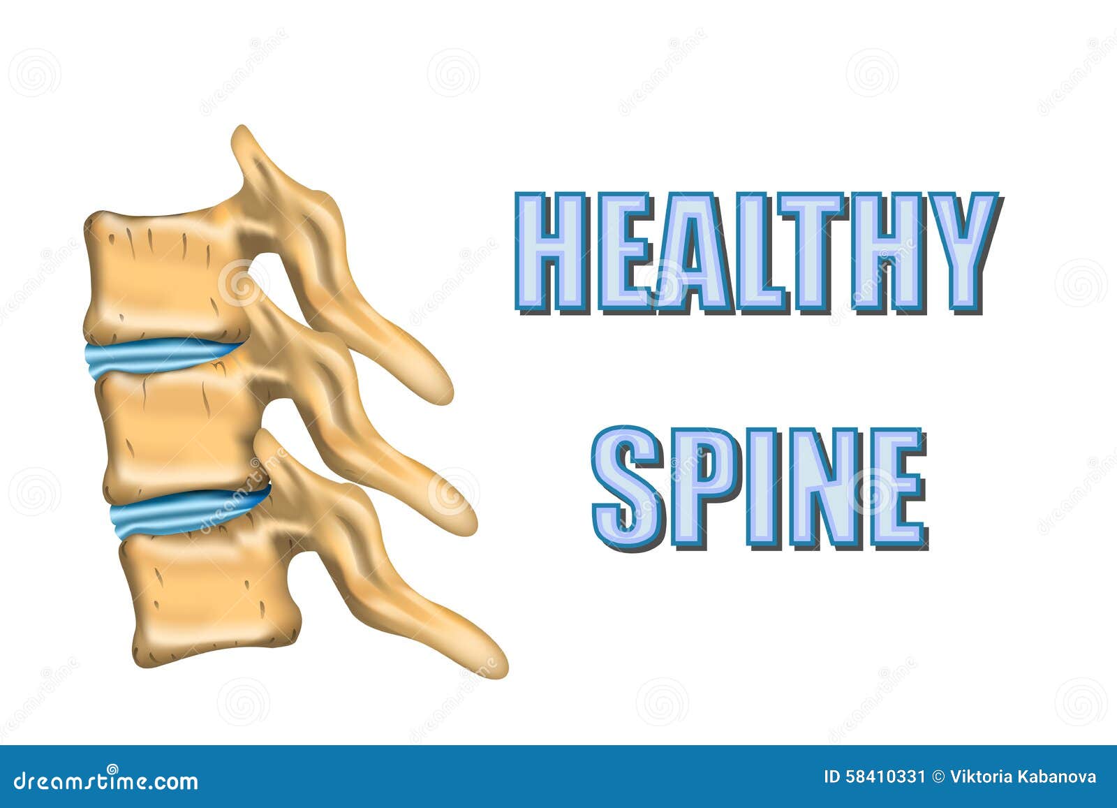 Healthy Vertebrae And Intervertebral Discs, Patient-friendly Diagram ...