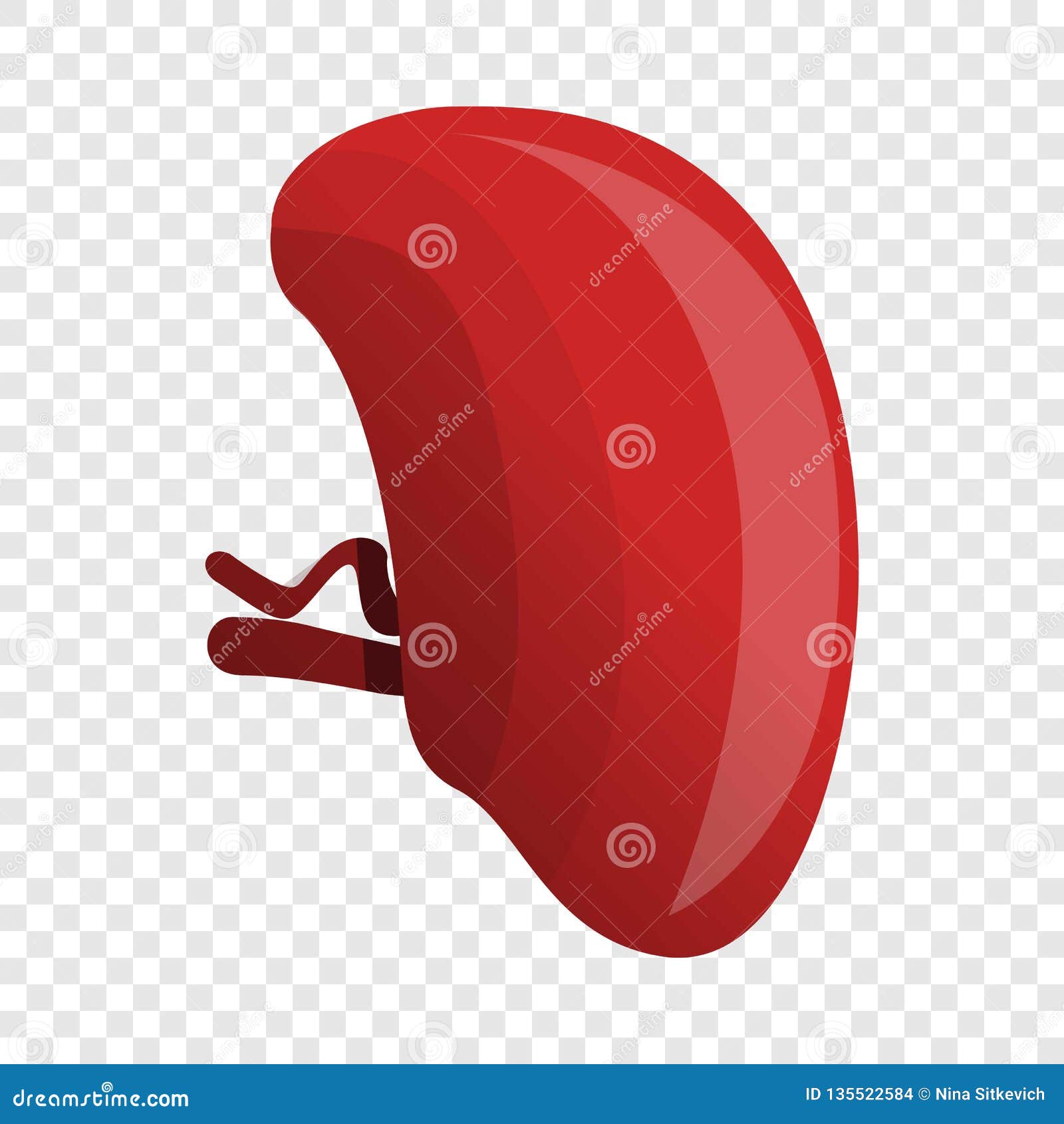 Healthy Spleen Icon, Cartoon Style Stock Vector - Illustration of ...