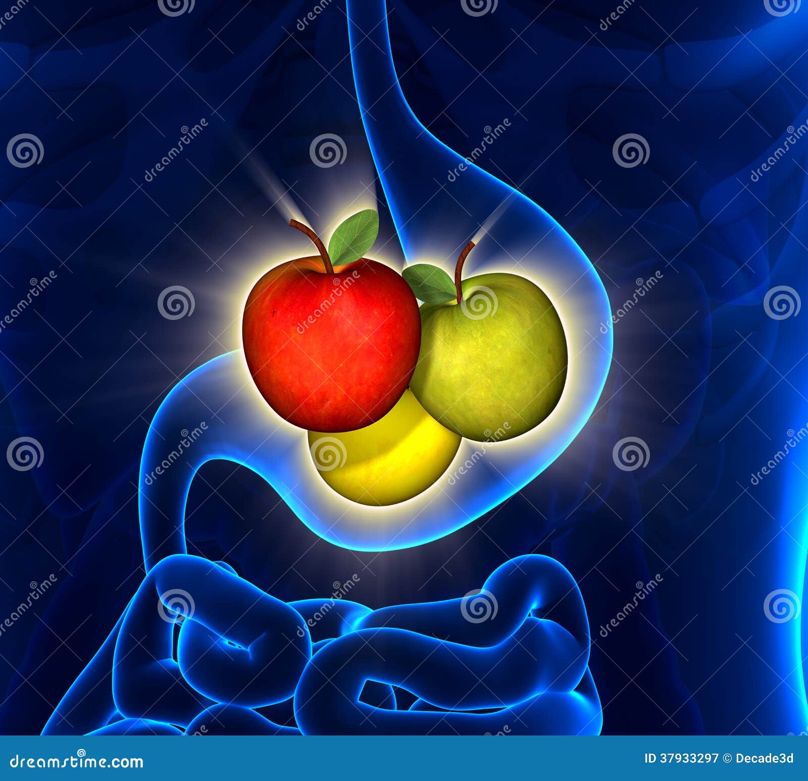 Healthy Stomach stock illustration. Illustration of healthy - 37933297