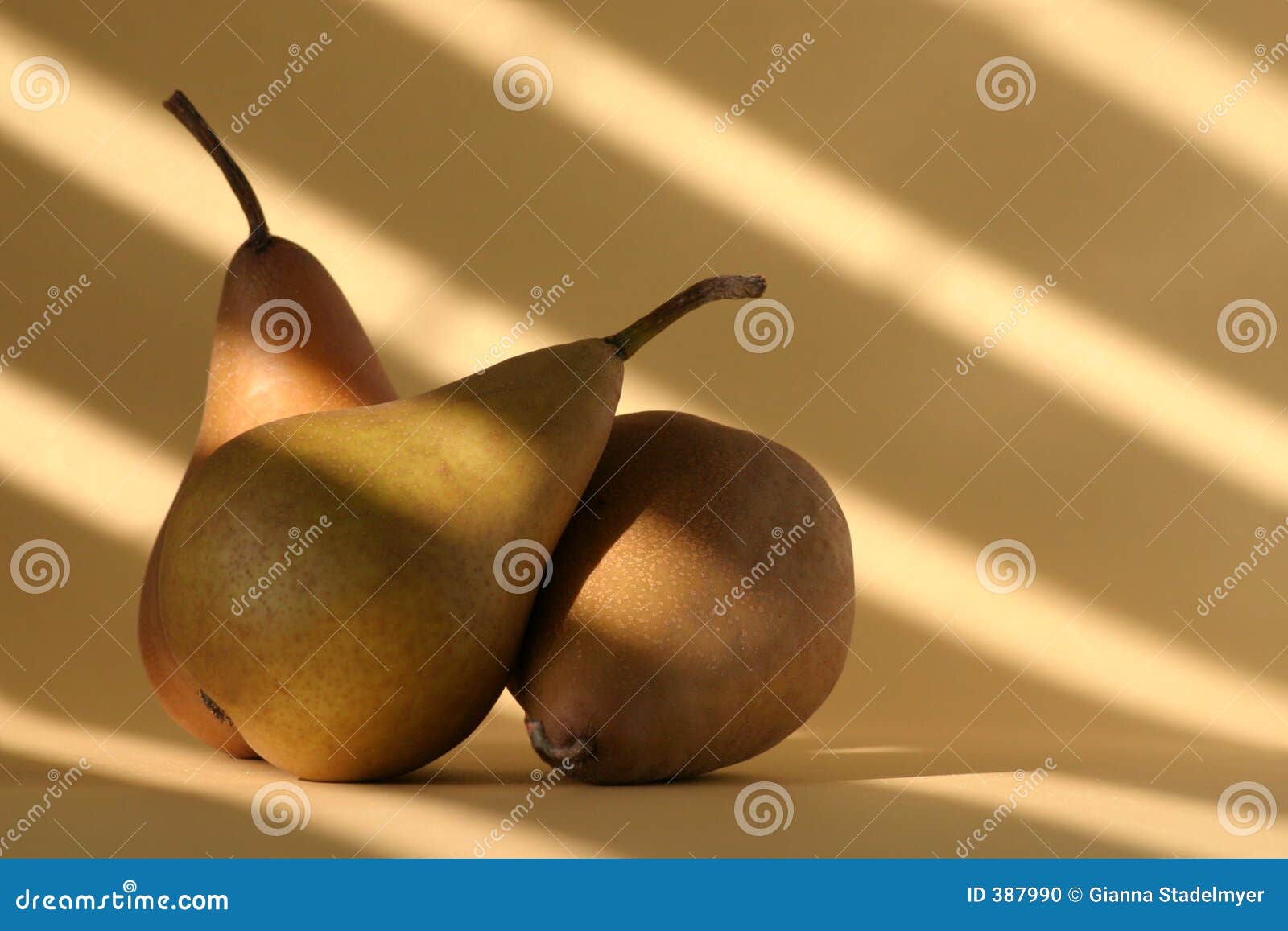 Healthy Tan stock photo. Image of fine, diagonal, pears - 387990