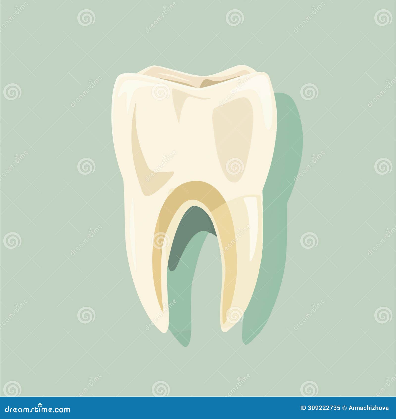The Healthy Tooth Simple Illustration. Stock Vector - Illustration of ...
