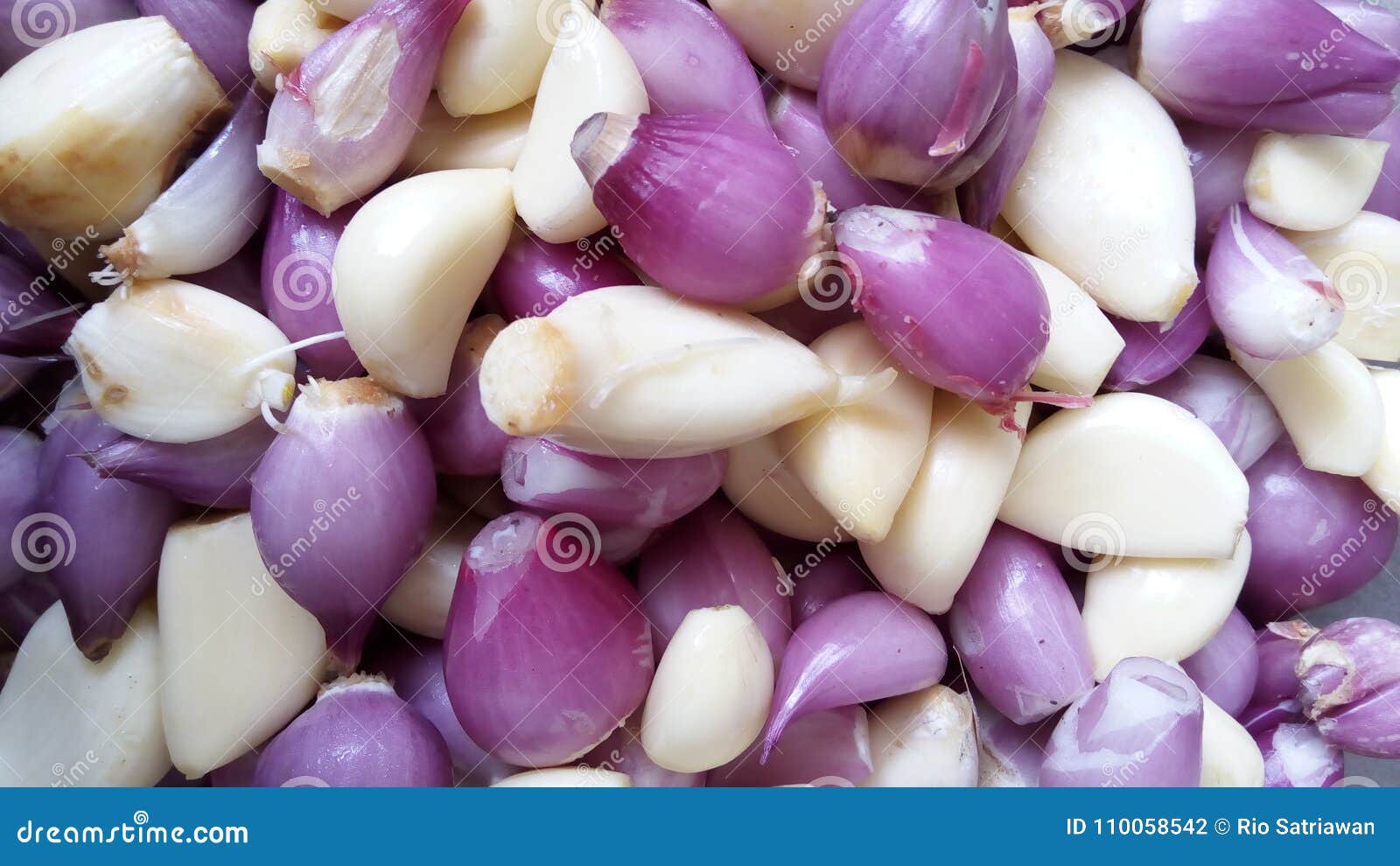 Healthy union vegetable stock photo. Image of white - 110058542